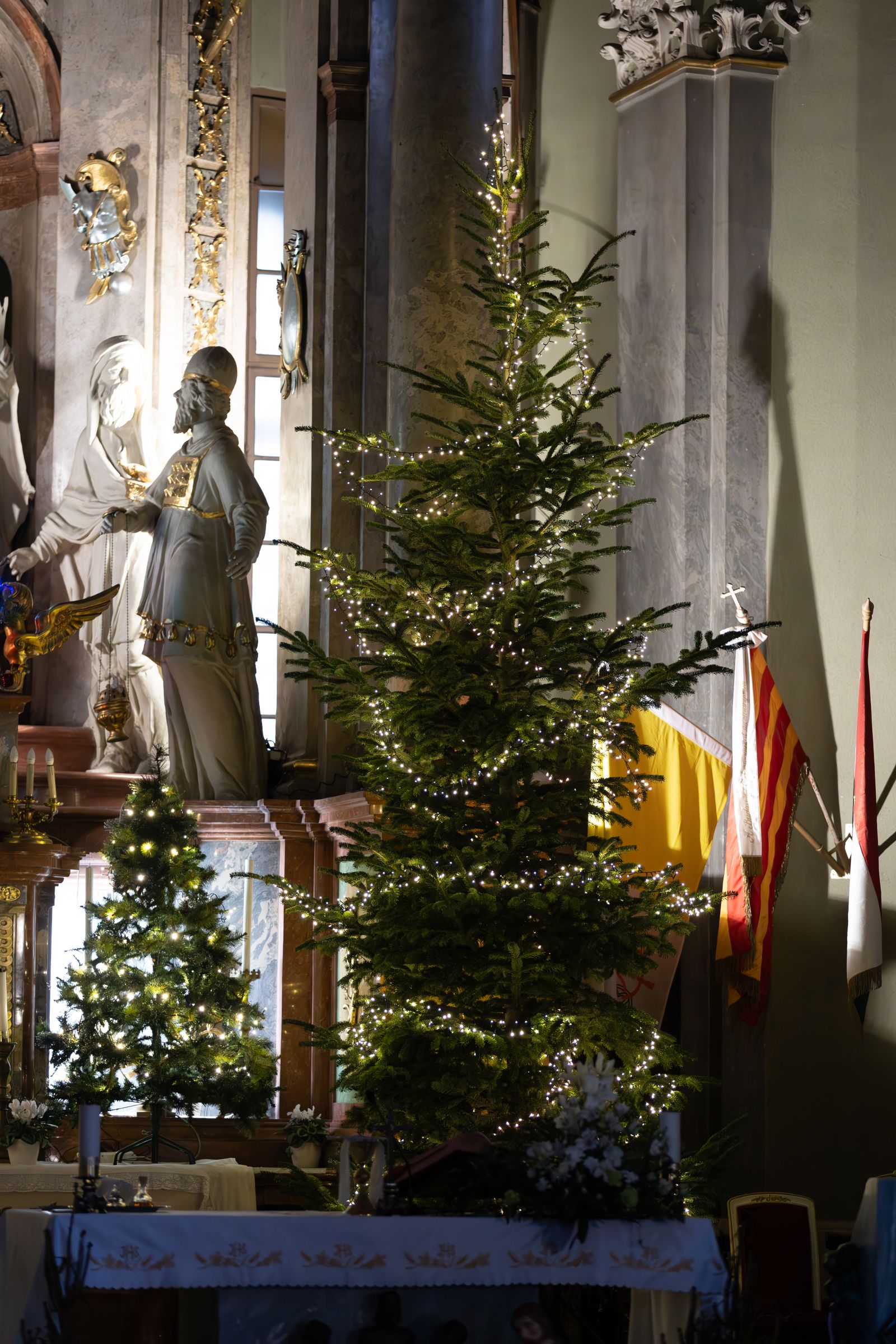 Christmas Trees Photos, Download The BEST Free Christmas Trees Stock ...