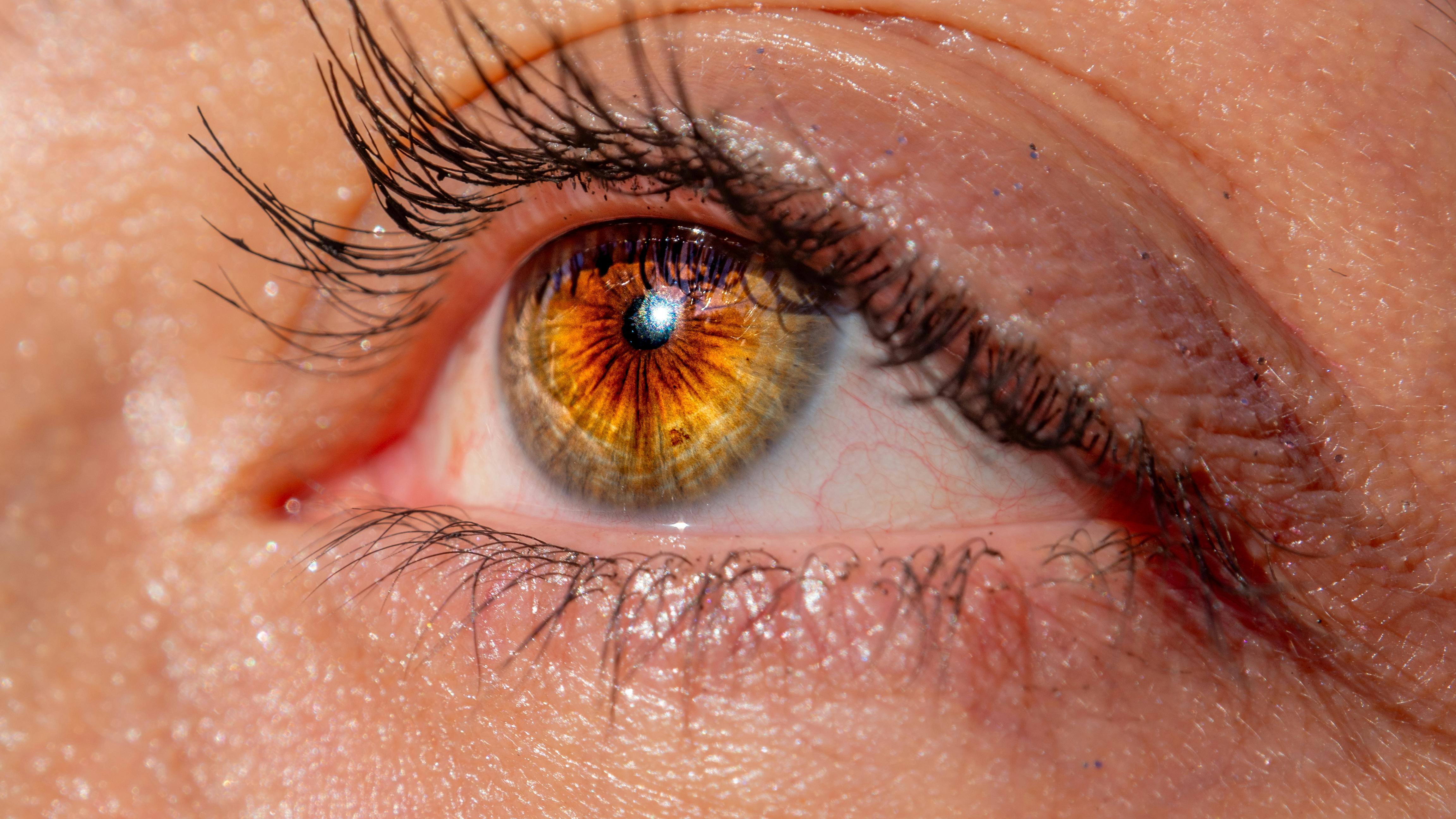 Close-up Photo of Person's Eyes · Free Stock Photo