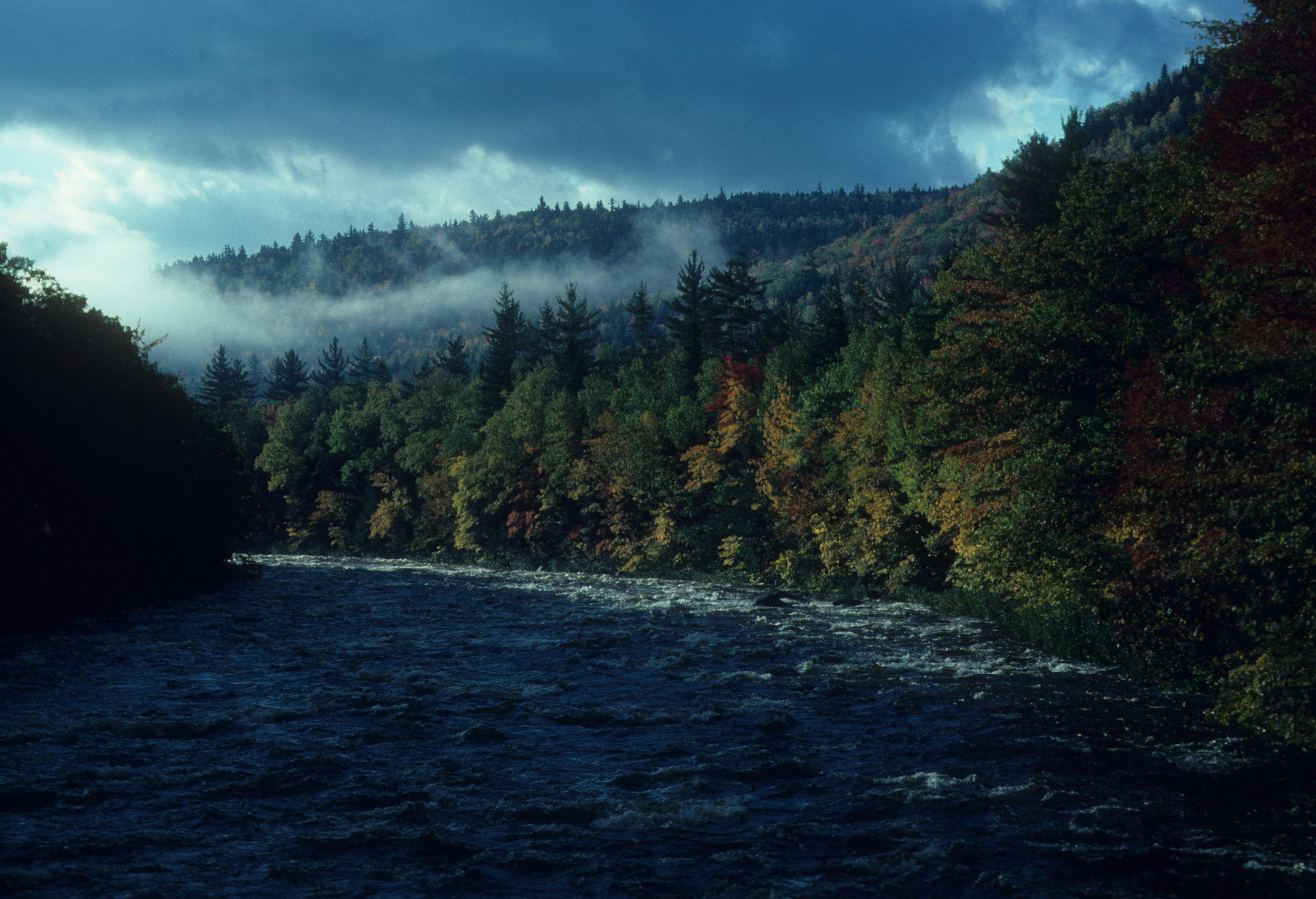 Fridfull Höstflod Med Dimmiga Berg · Kostnadsfri bild