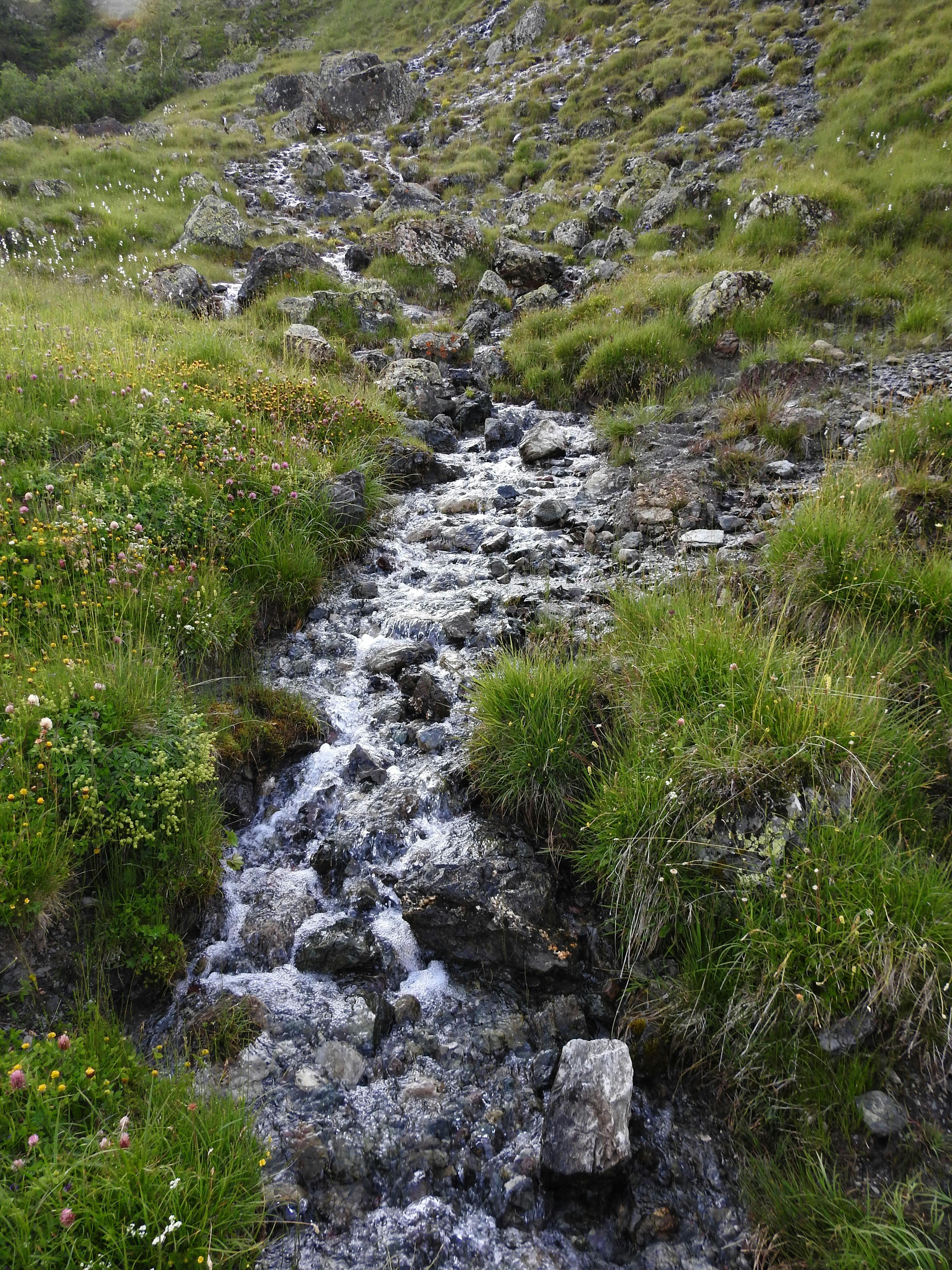 Serene Mountain Stream in Rocky Landscape · Free Stock Photo