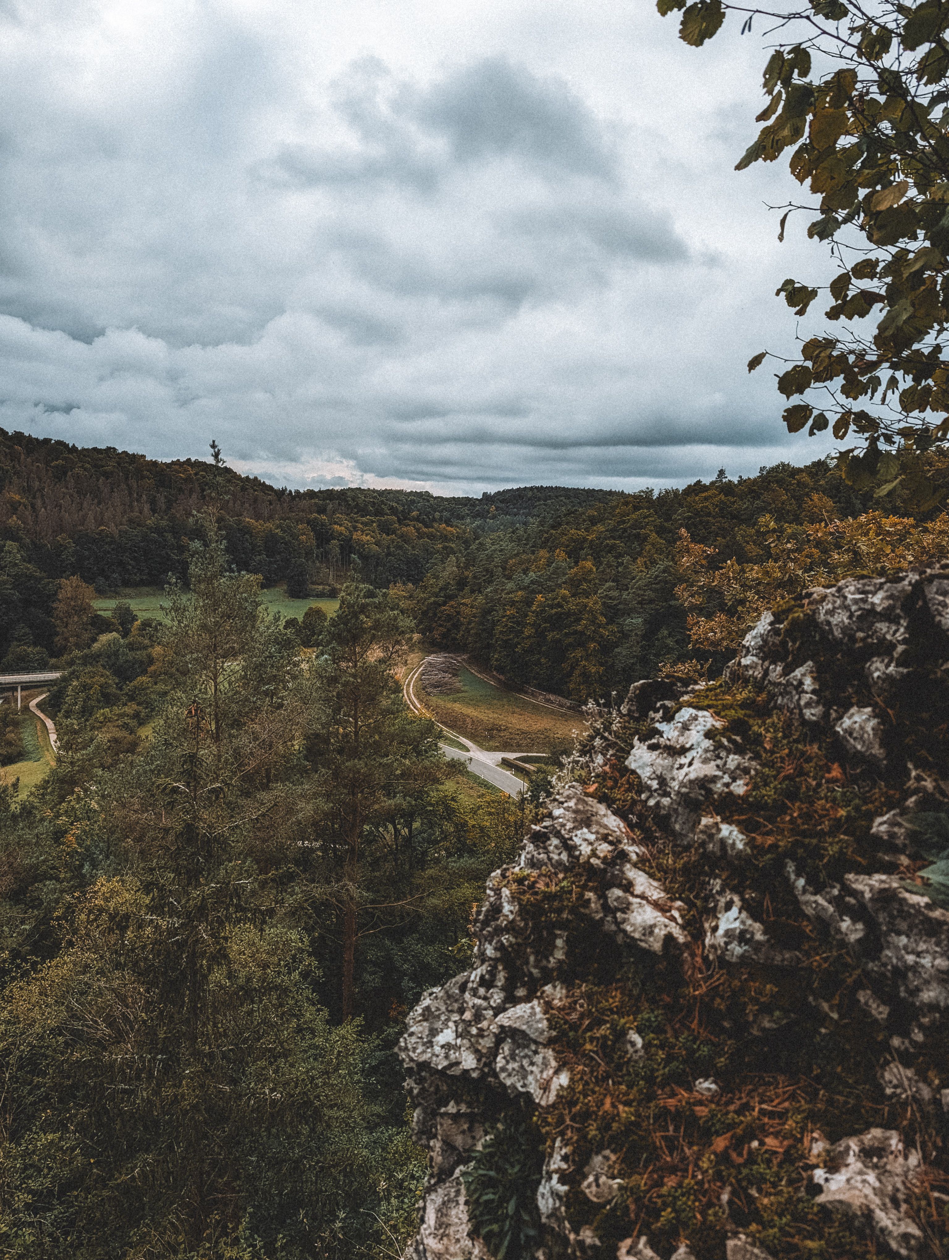Scenic Forest Valley in Overcast Weather · Free Stock Photo