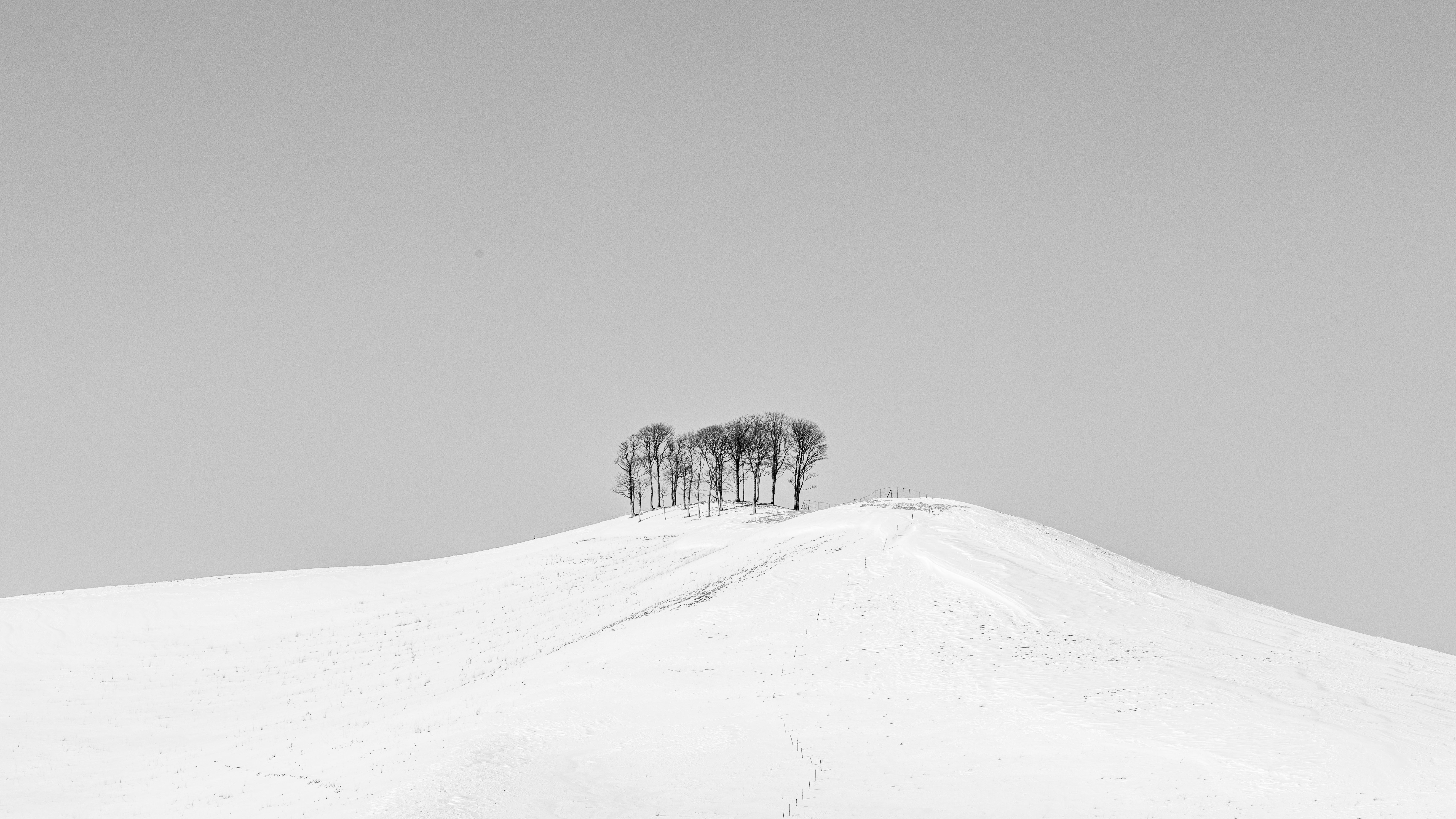 Chill Japan Photos, Download The BEST Free Chill Japan Stock Photos ...