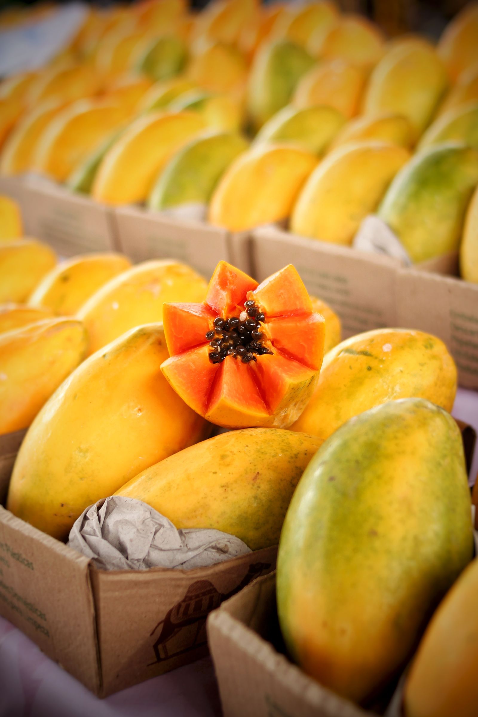 Papaya Photos, Download The BEST Free Papaya Stock Photos & HD Images