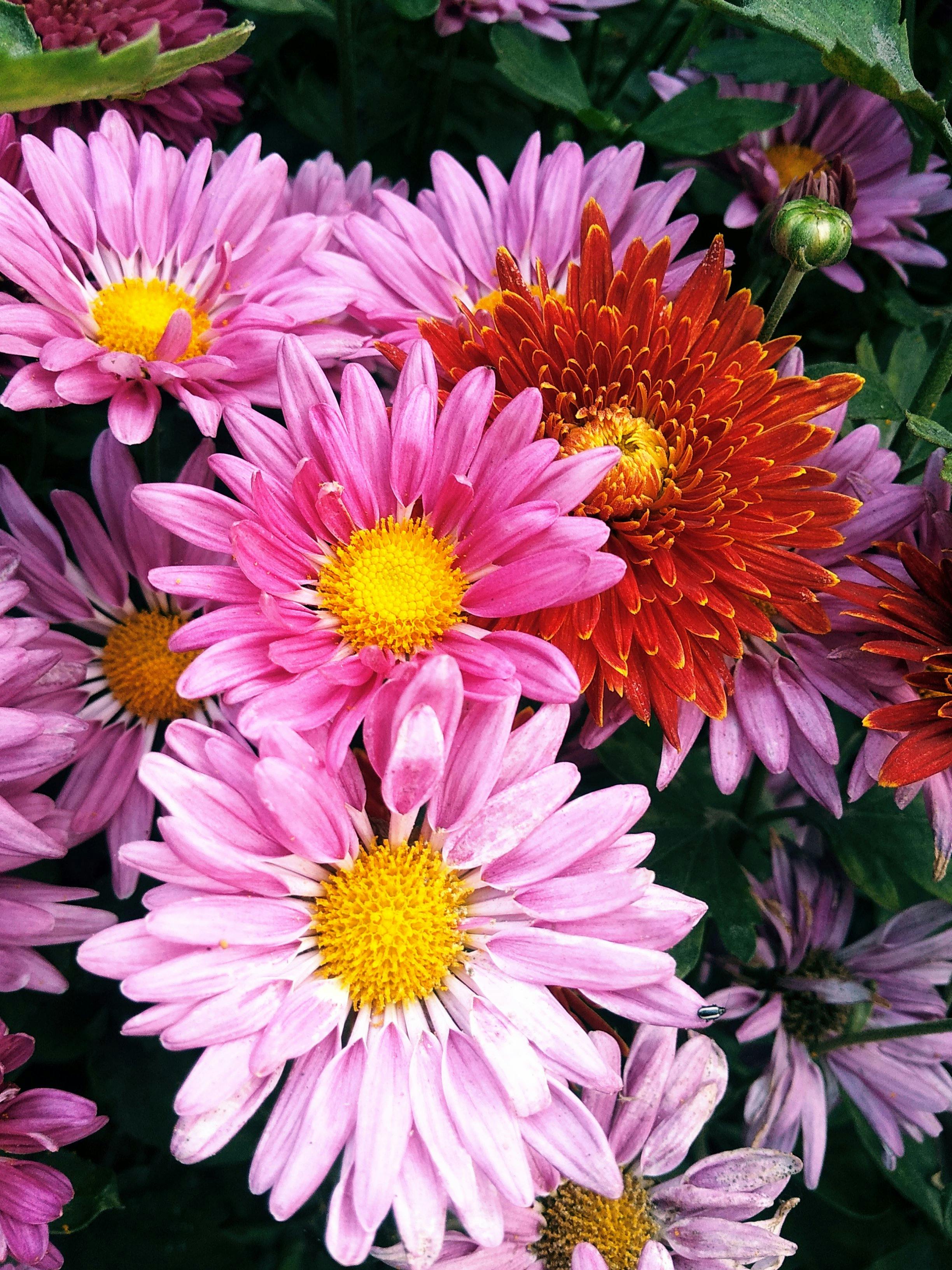 Md Nuruddin Mondal - Photography