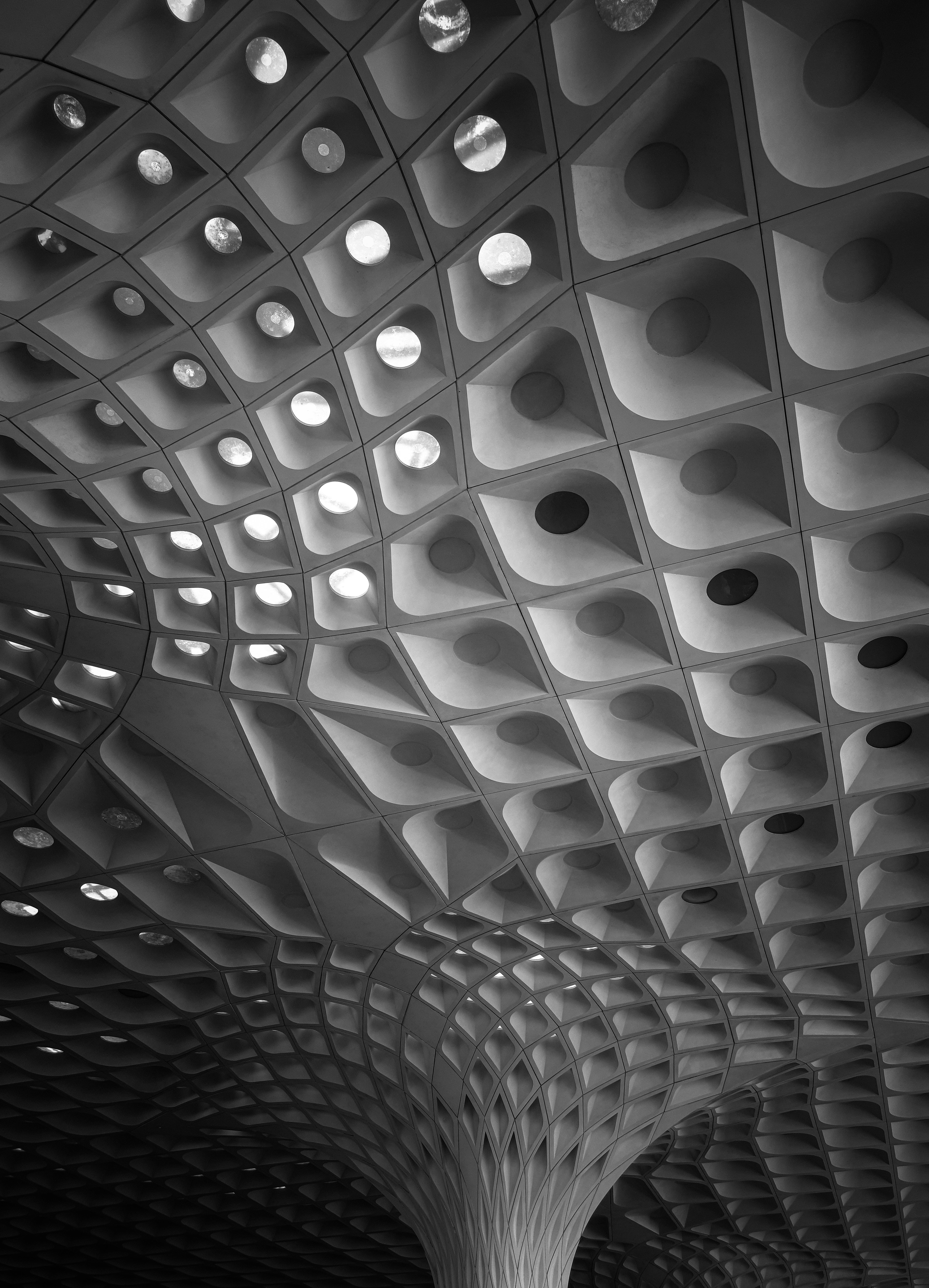 Curved Architectural Ceiling with Geometric Patterns · Free Stock Photo