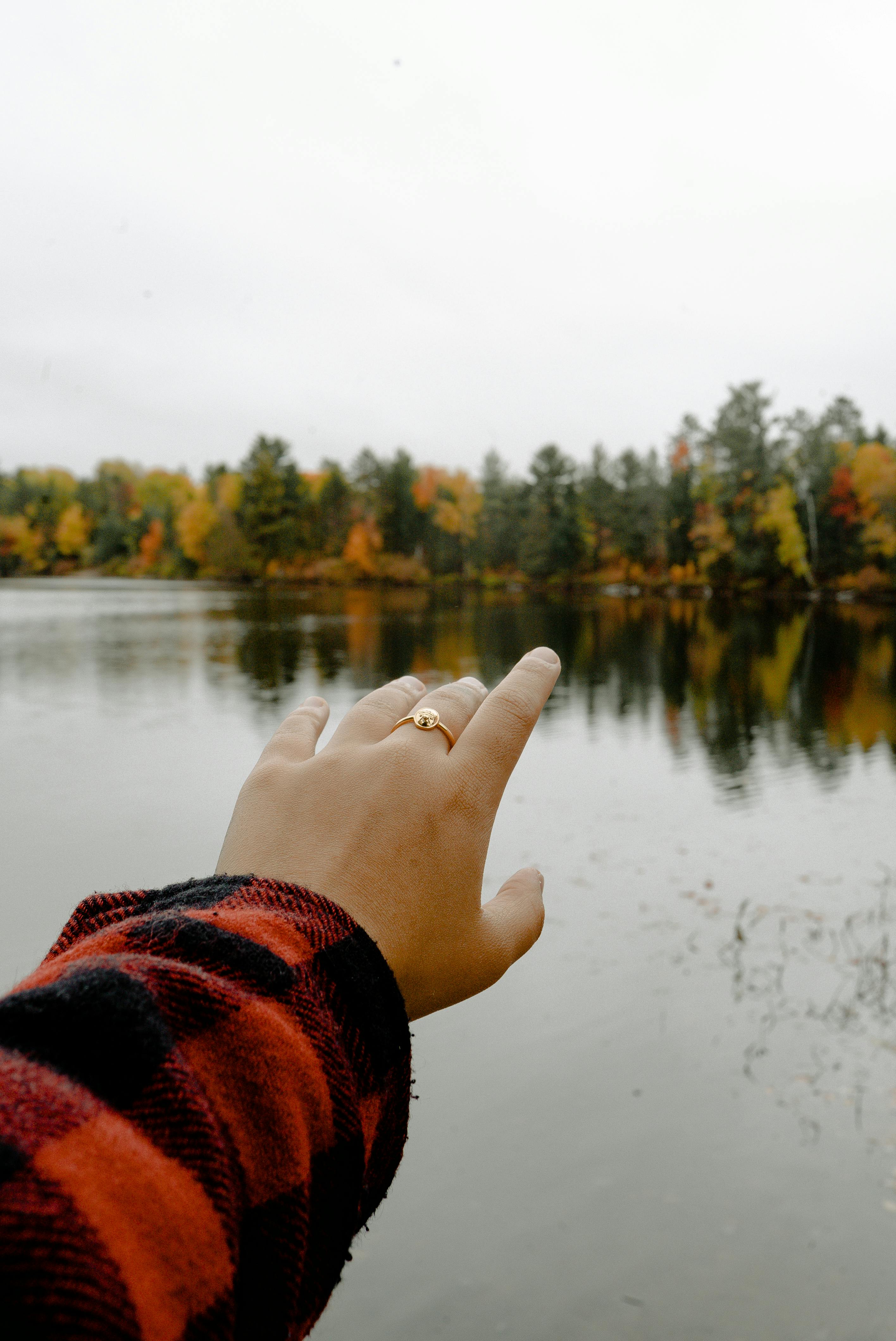 Person's Hand Outstretched · Free Stock Photo