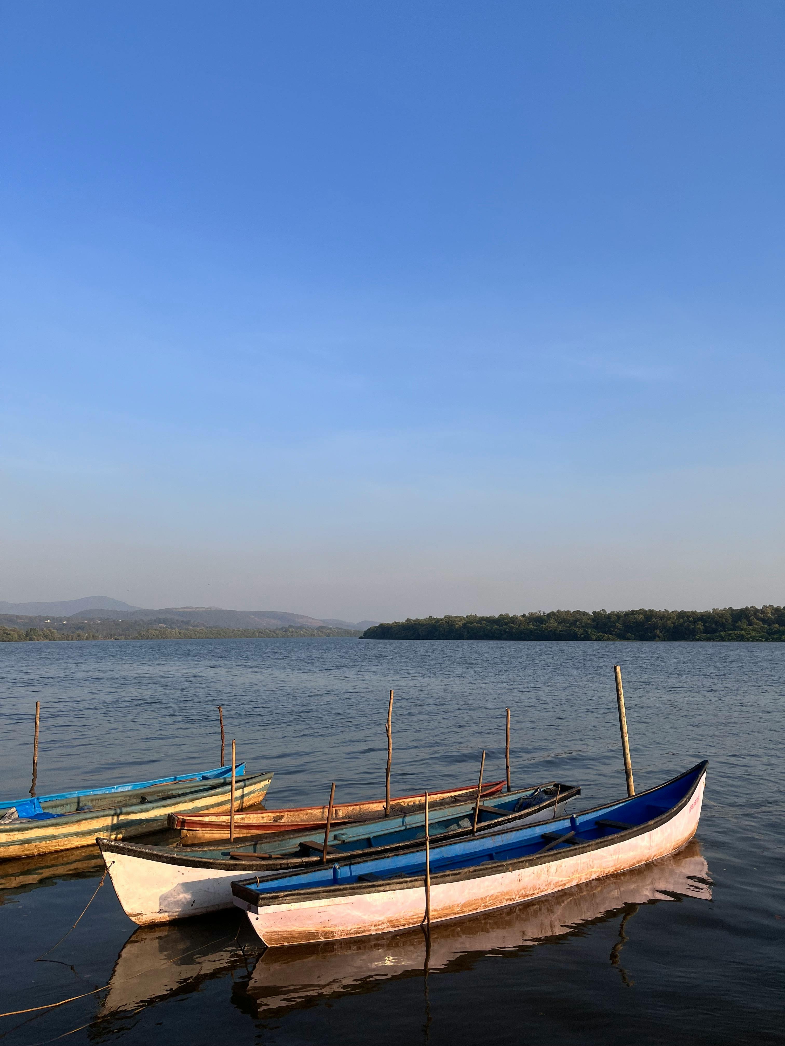 Goa Font Photos, Download The BEST Free Goa Font Stock Photos & HD Images