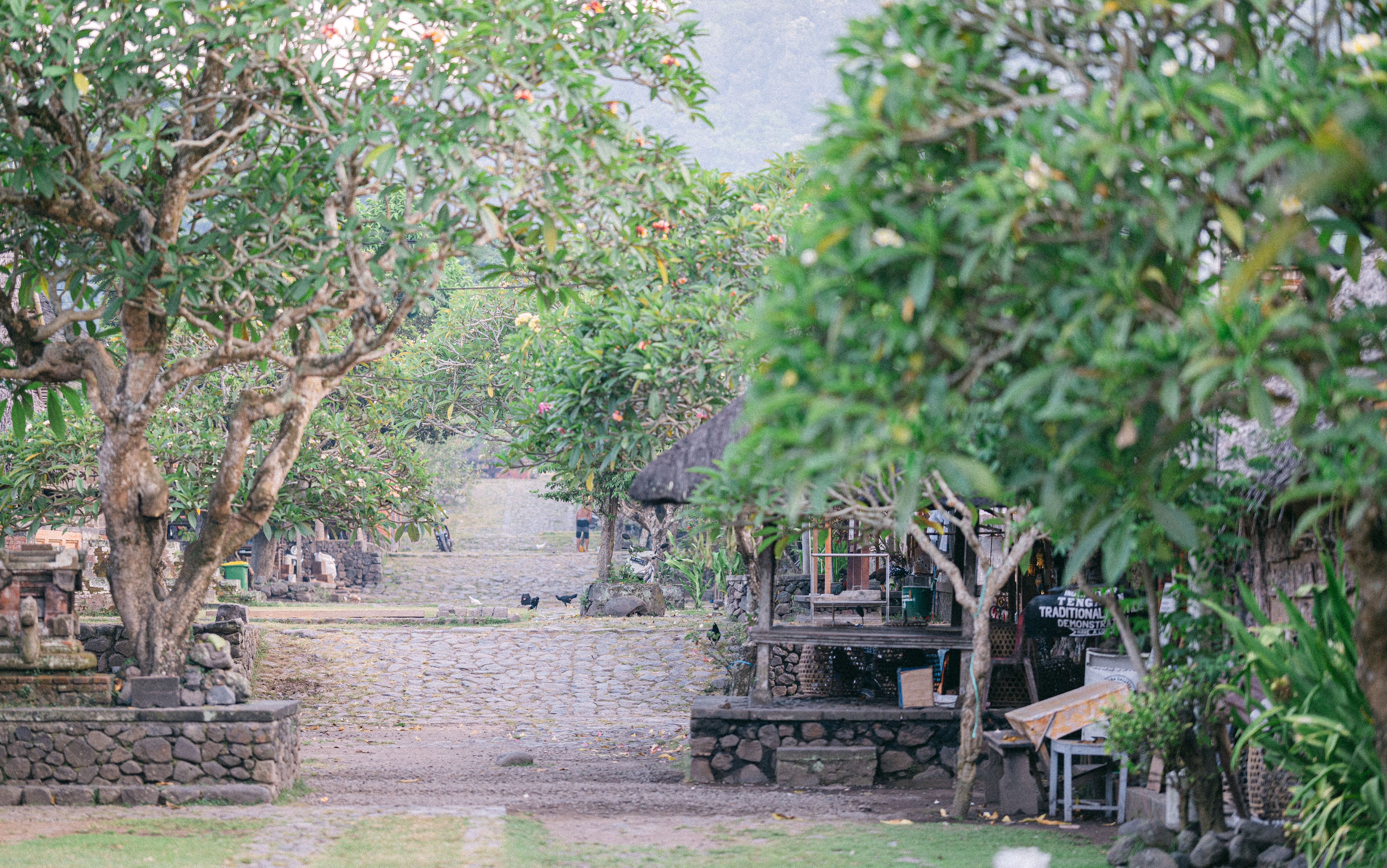 Scenic Traditional Village with Stone Pathway · Free Stock Photo