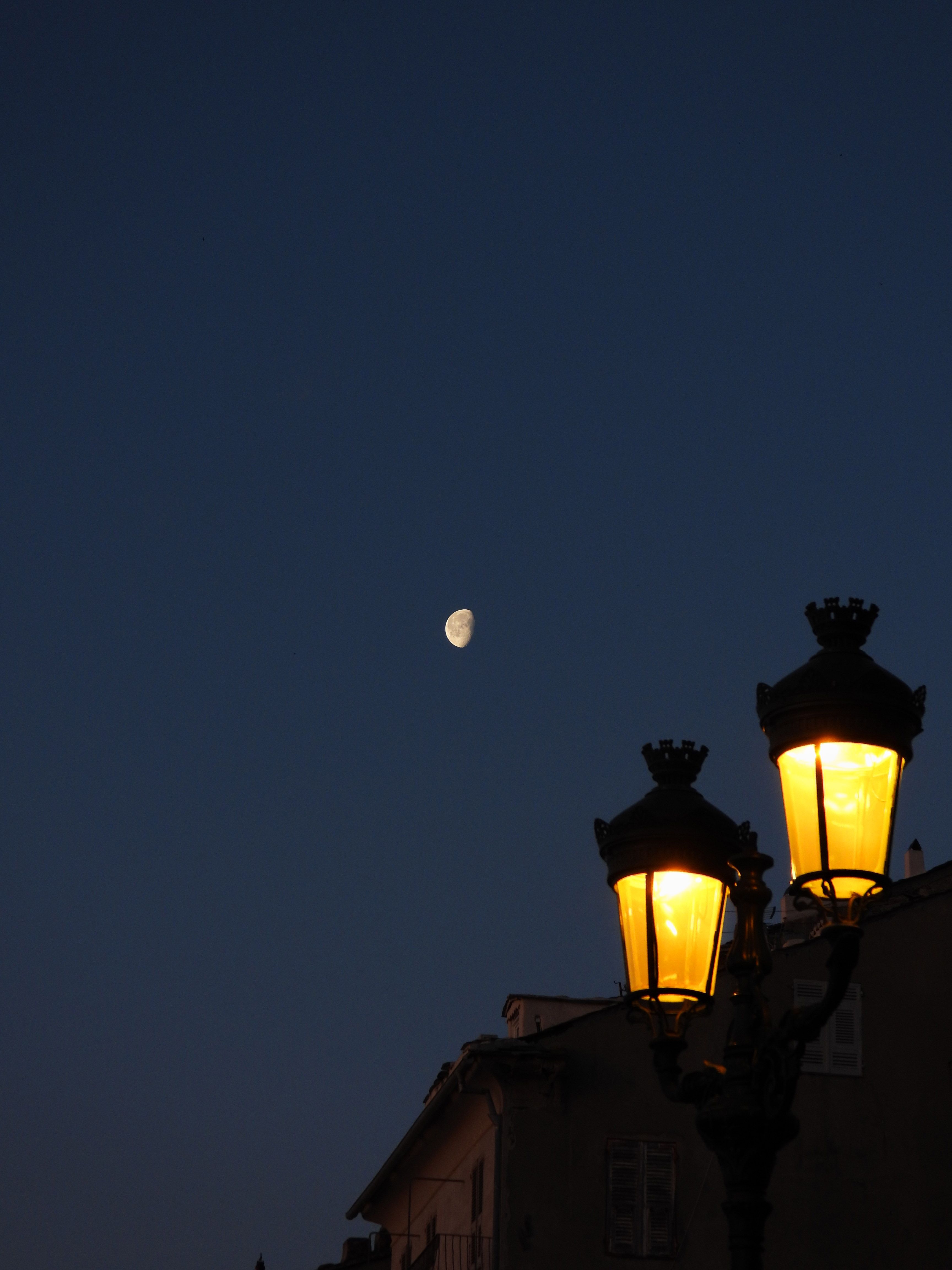 Night Sky with Moon and Street Lamps · Free Stock Photo