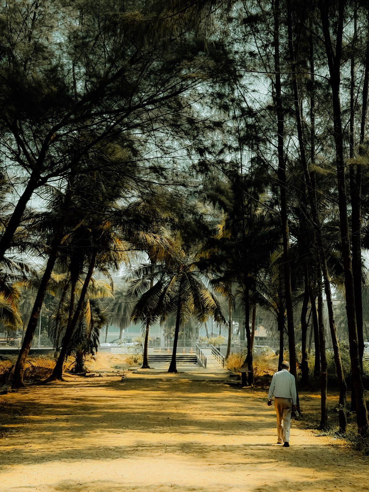 Nature Walk Photos, Download The BEST Free Nature Walk Stock Photos ...