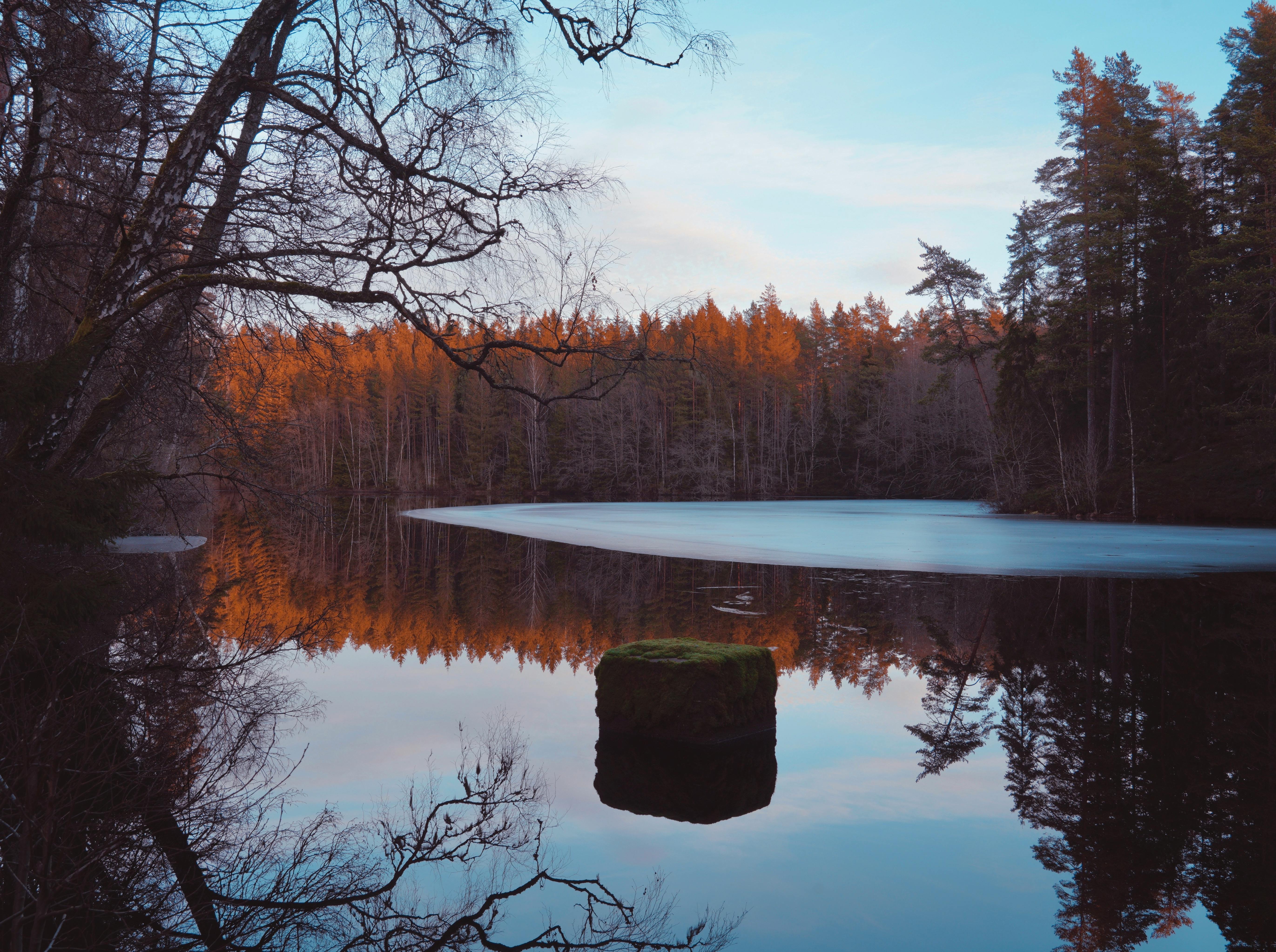 Spools Still Life Photos, Download The BEST Free Spools Still Life ...
