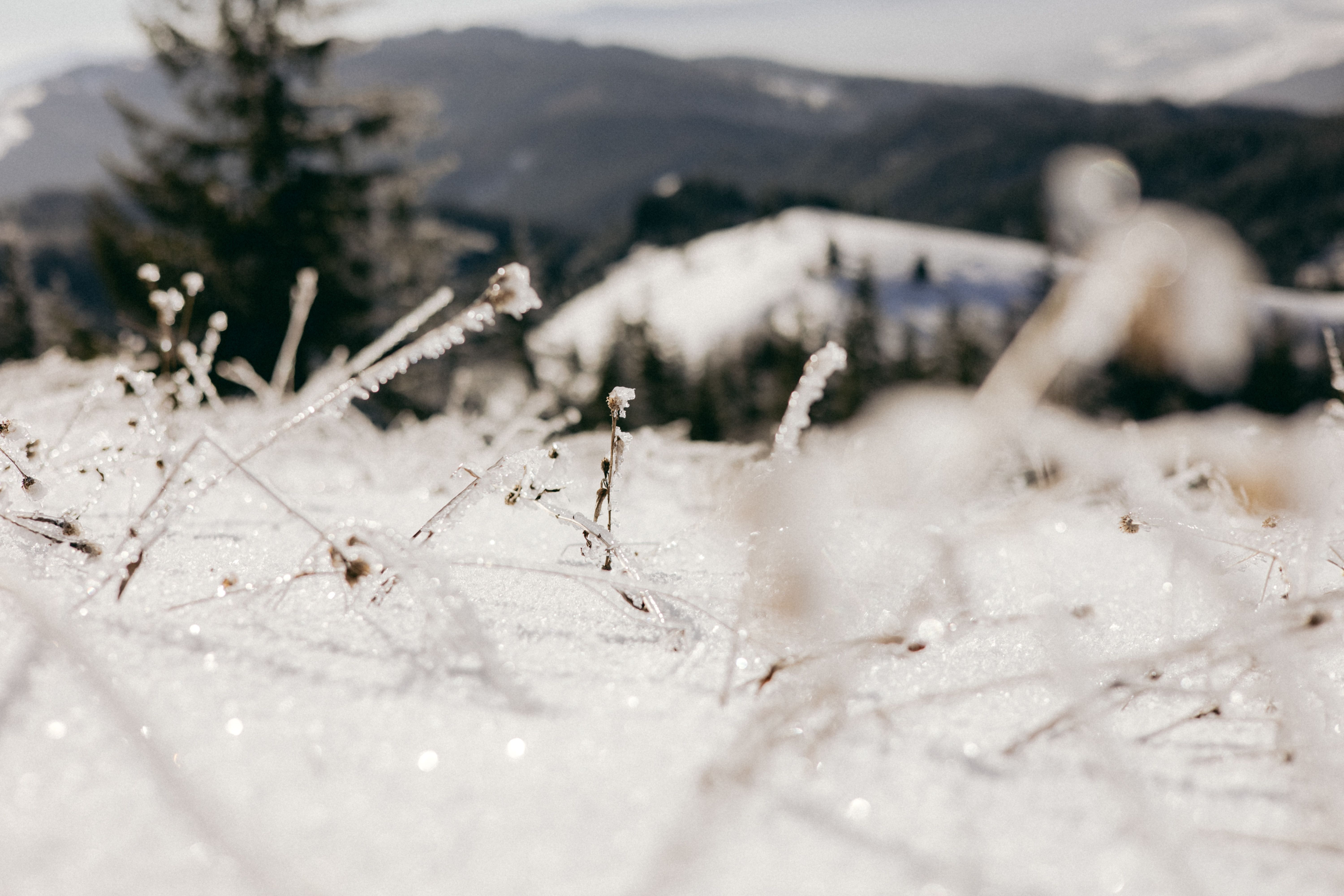 Snowy Landscape with Frosted Grass and Mountains · Free Stock Photo