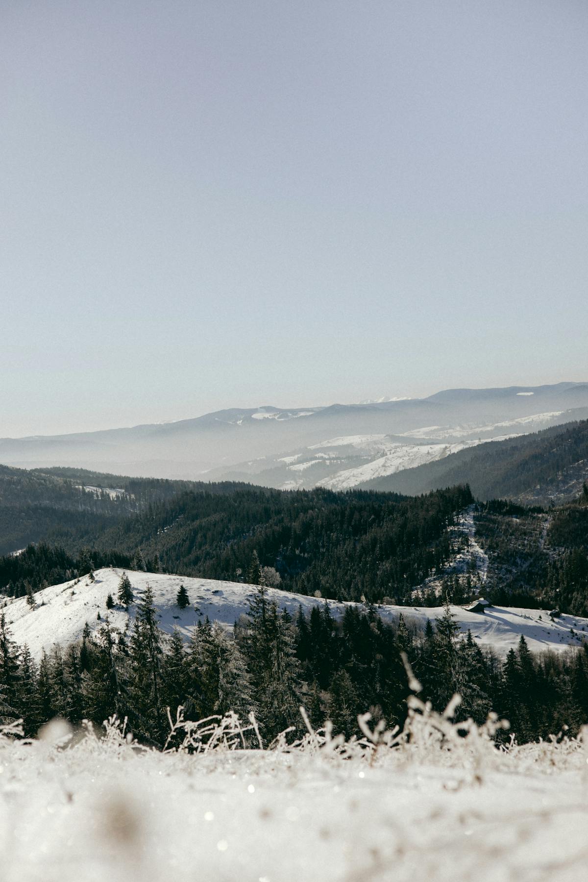 Snow Landscape Photos, Download The BEST Free Snow Landscape Stock ...