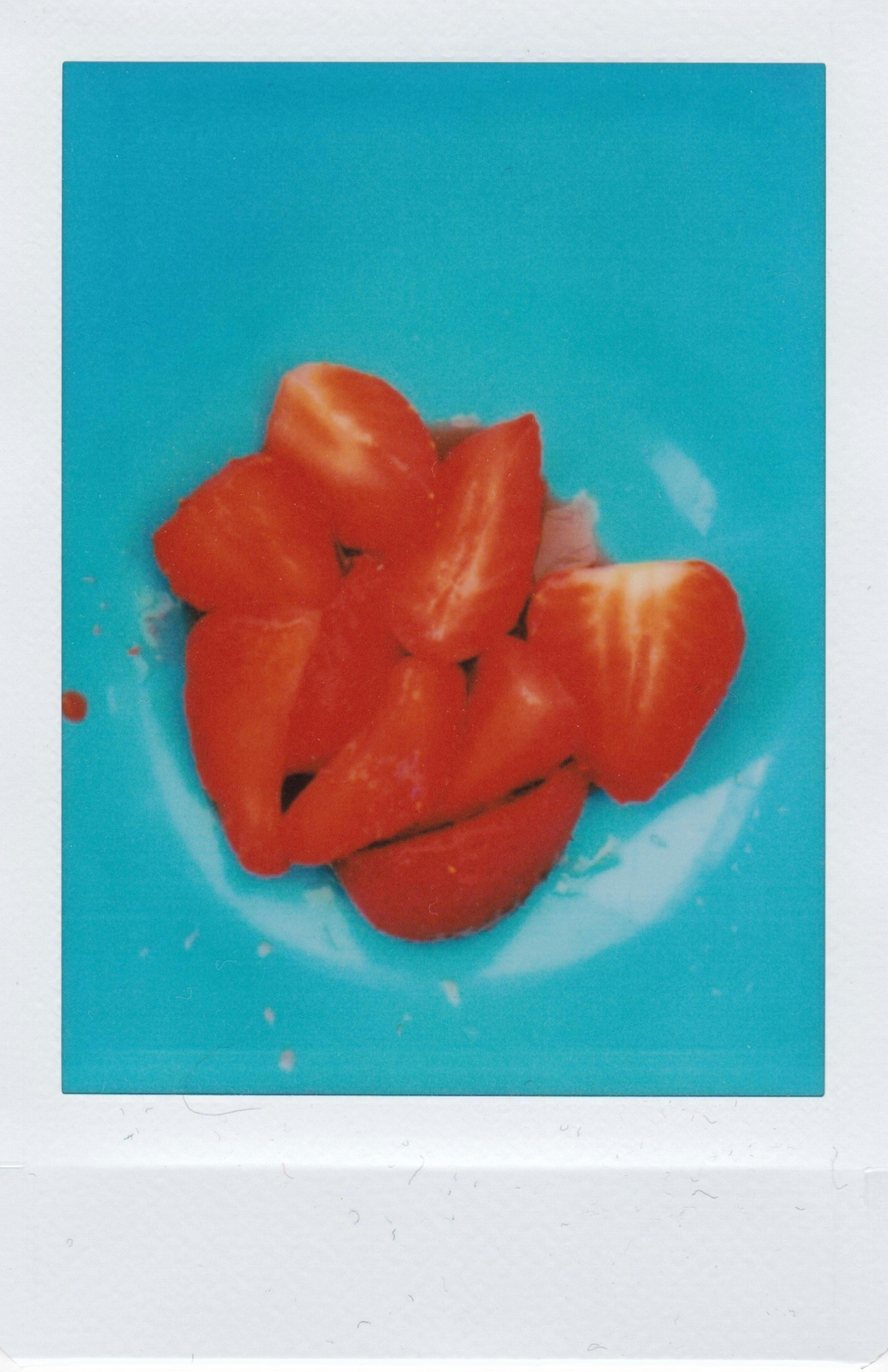 Polaroid Photos, Download The BEST Free Polaroid Stock Photos & HD Images