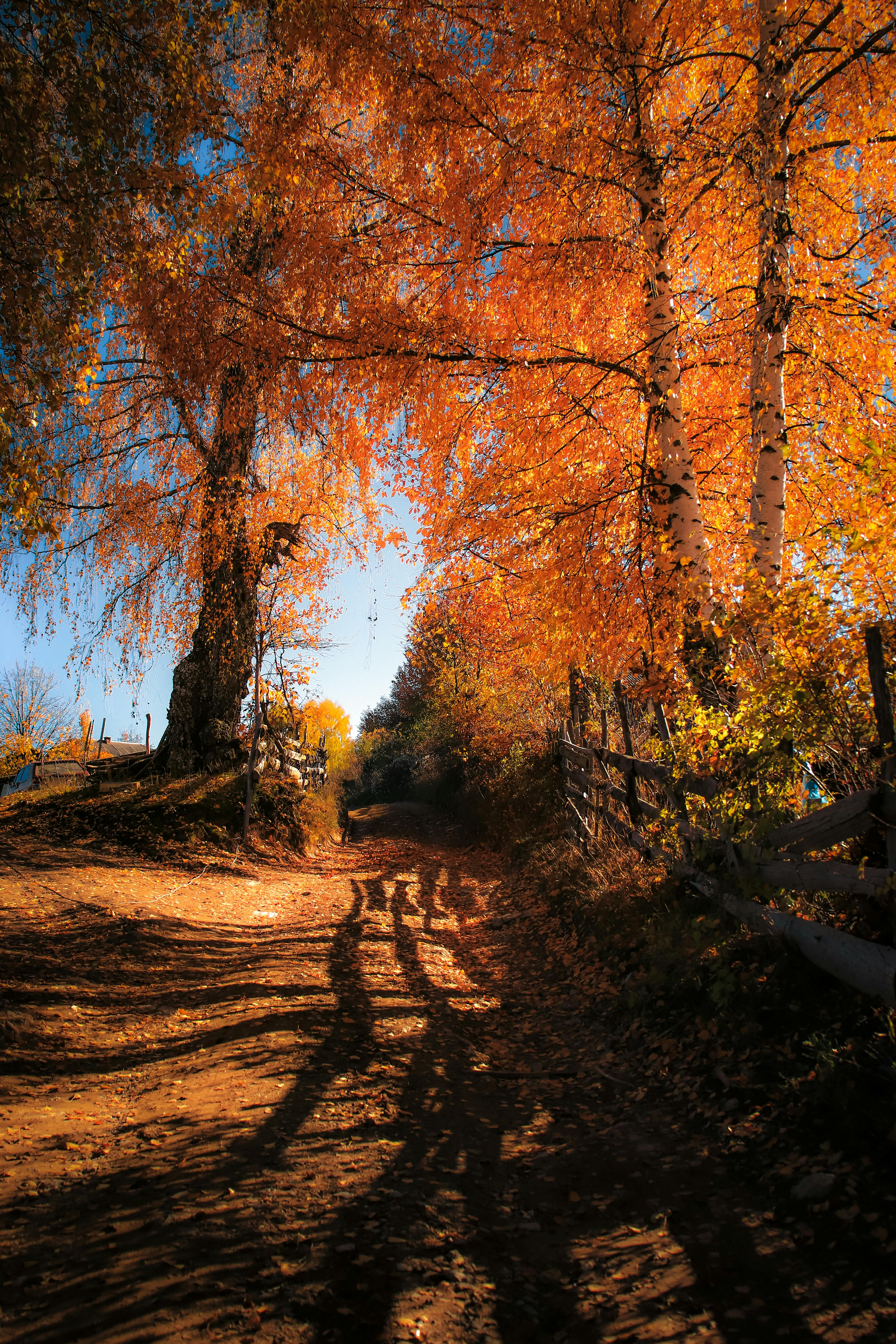 Autumn Pathway in Čajniče, Bosnia and Herzegovina · Free Stock Photo