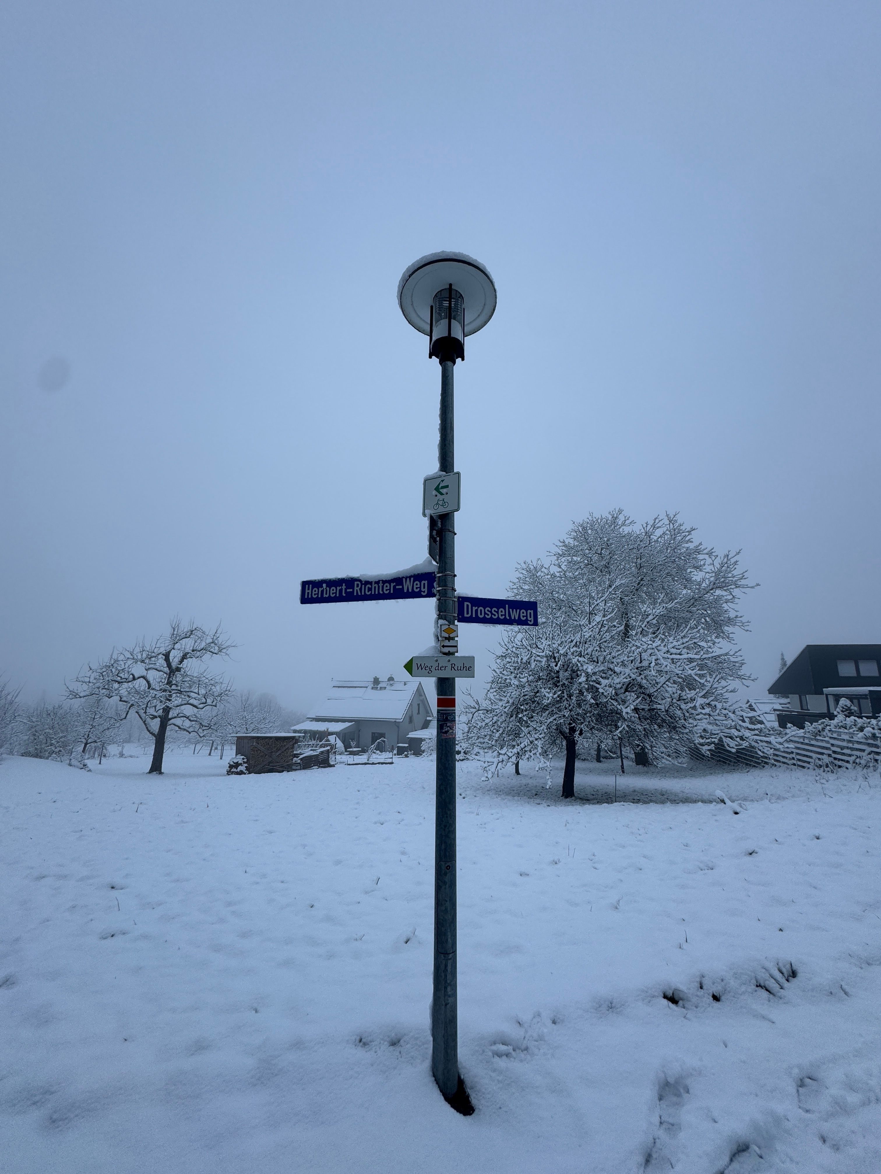 Snowy Street Lamp in Winter Landscape · Free Stock Photo