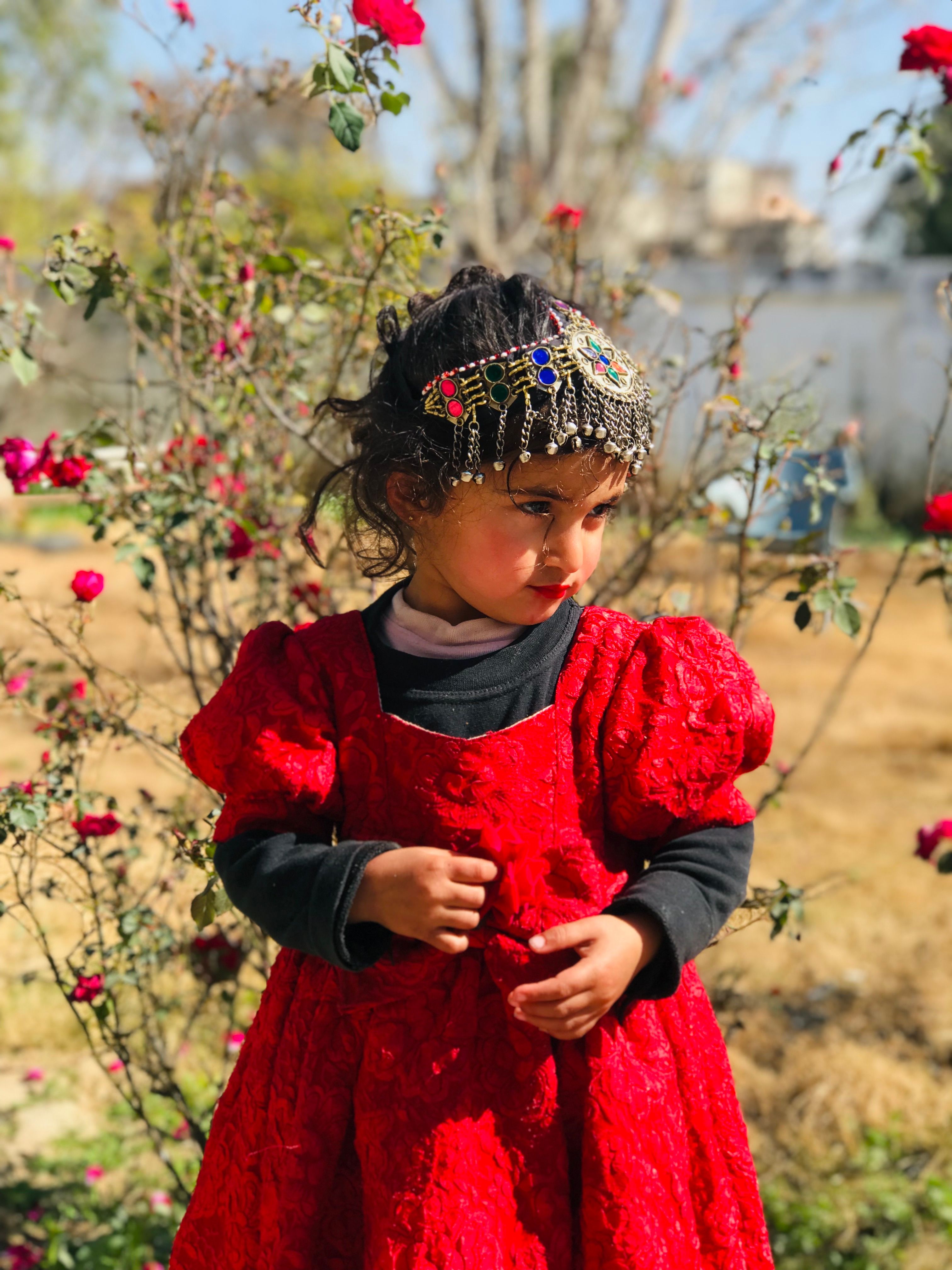 Adorable Child in Red Dress Amongst Roses · Free Stock Photo