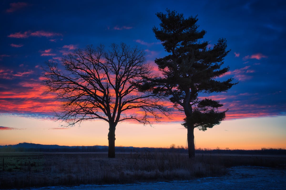 Pink Sunset Photos, Download The BEST Free Pink Sunset Stock Photos ...
