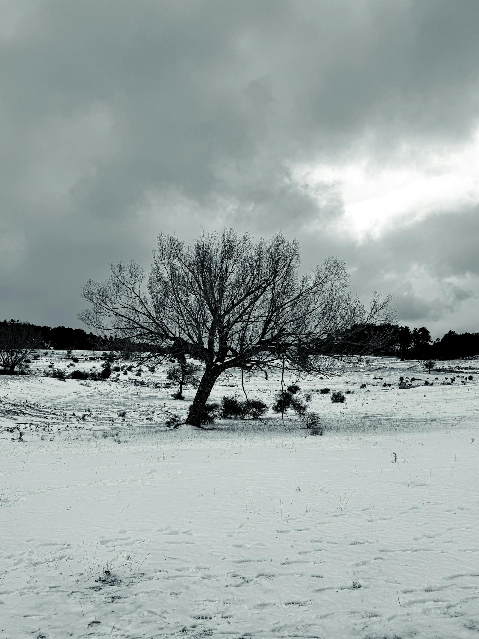 Simple Landscape Photos, Download The BEST Free Simple Landscape Stock ...