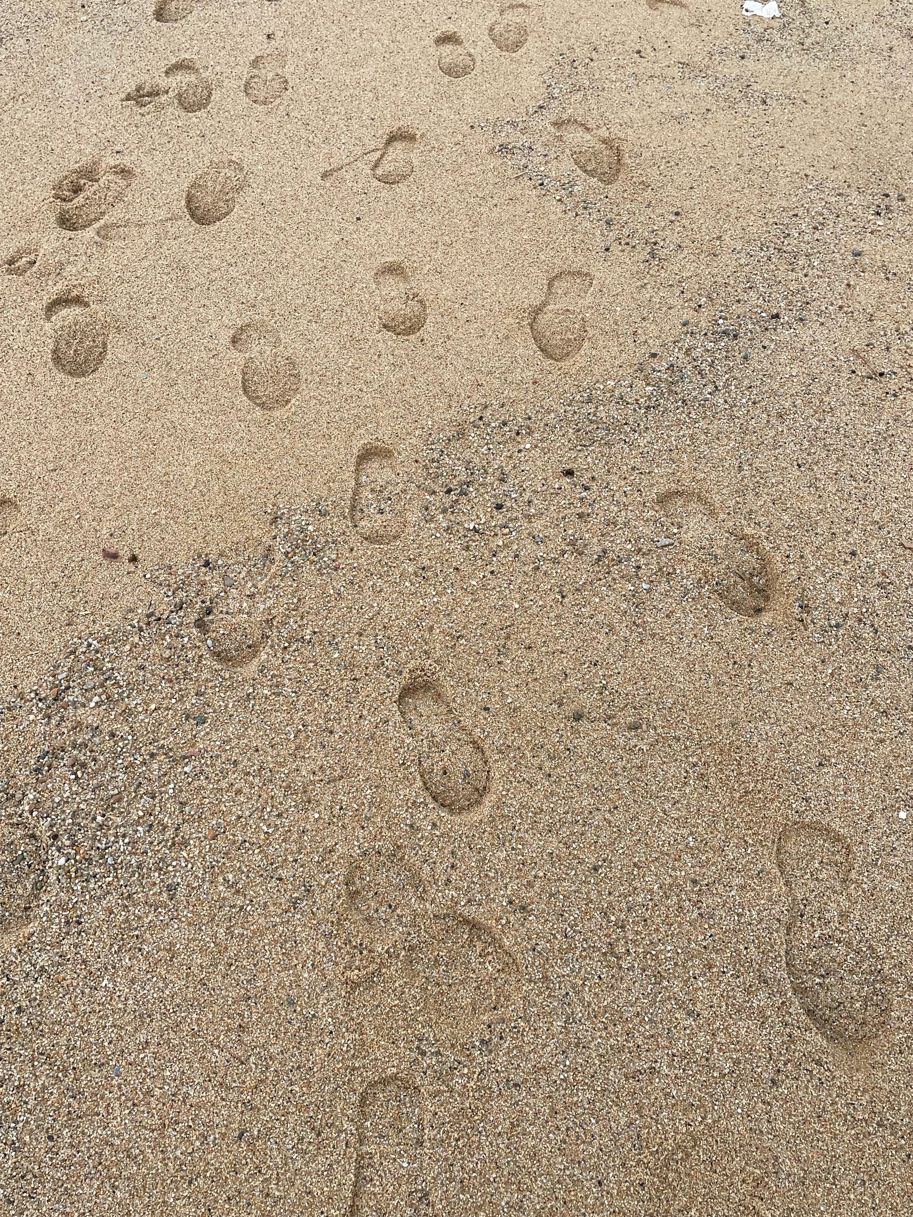 Beach Sand with Footprints Texture · Free Stock Photo