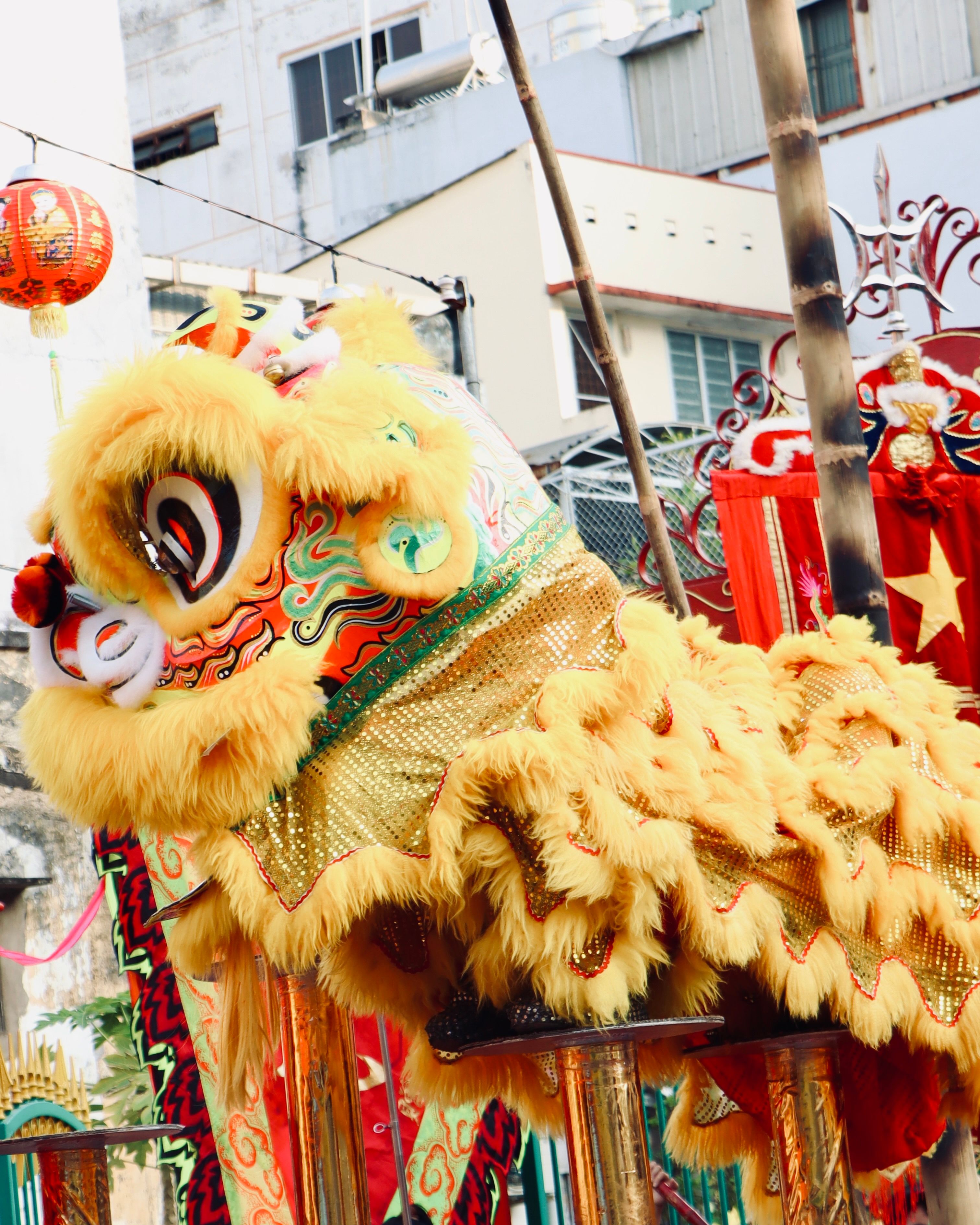 Vibrant Lion Dance Performance at Festival · Free Stock Photo
