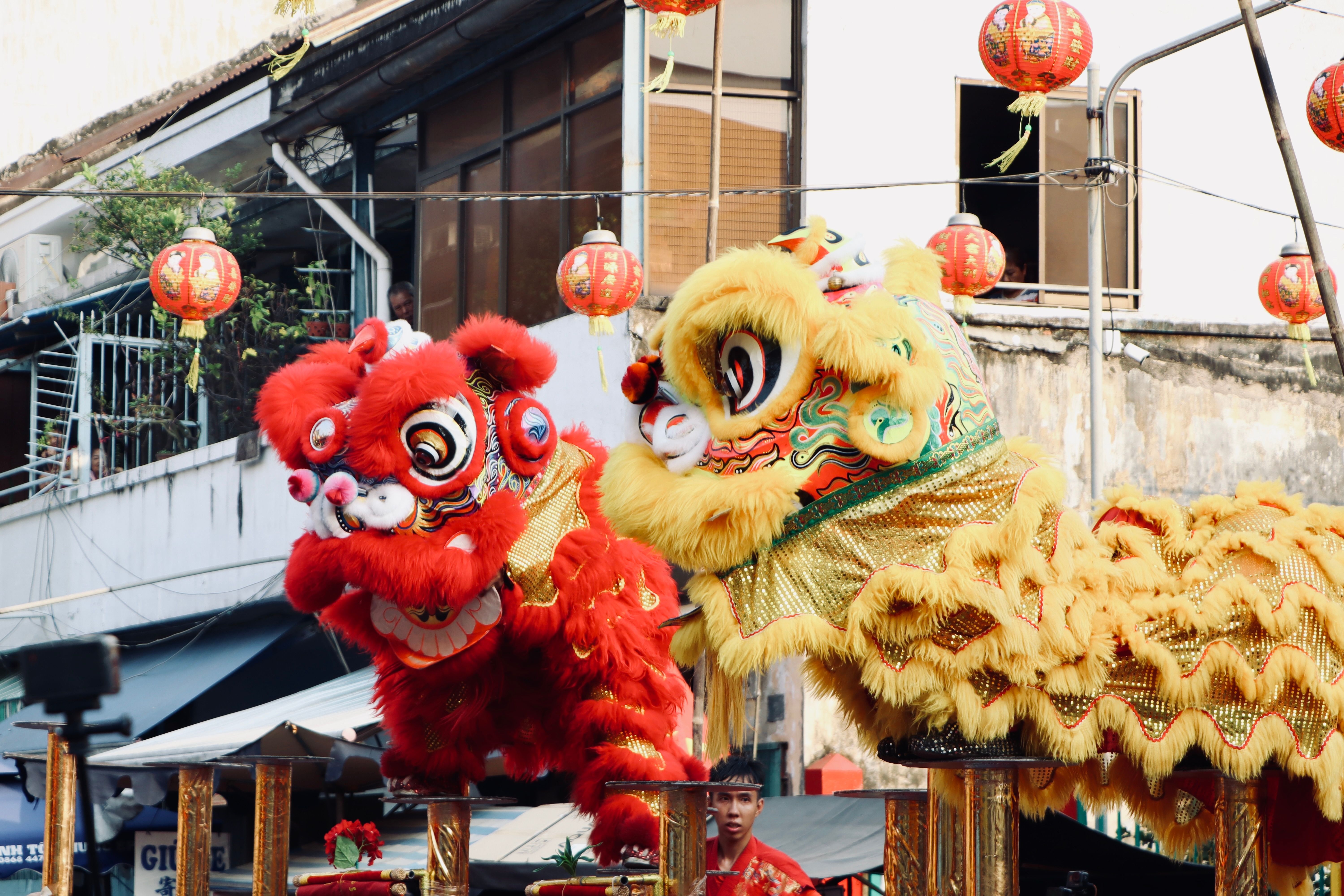 Vibrant Lion Dance Performance during Cultural Festival · Free Stock Photo