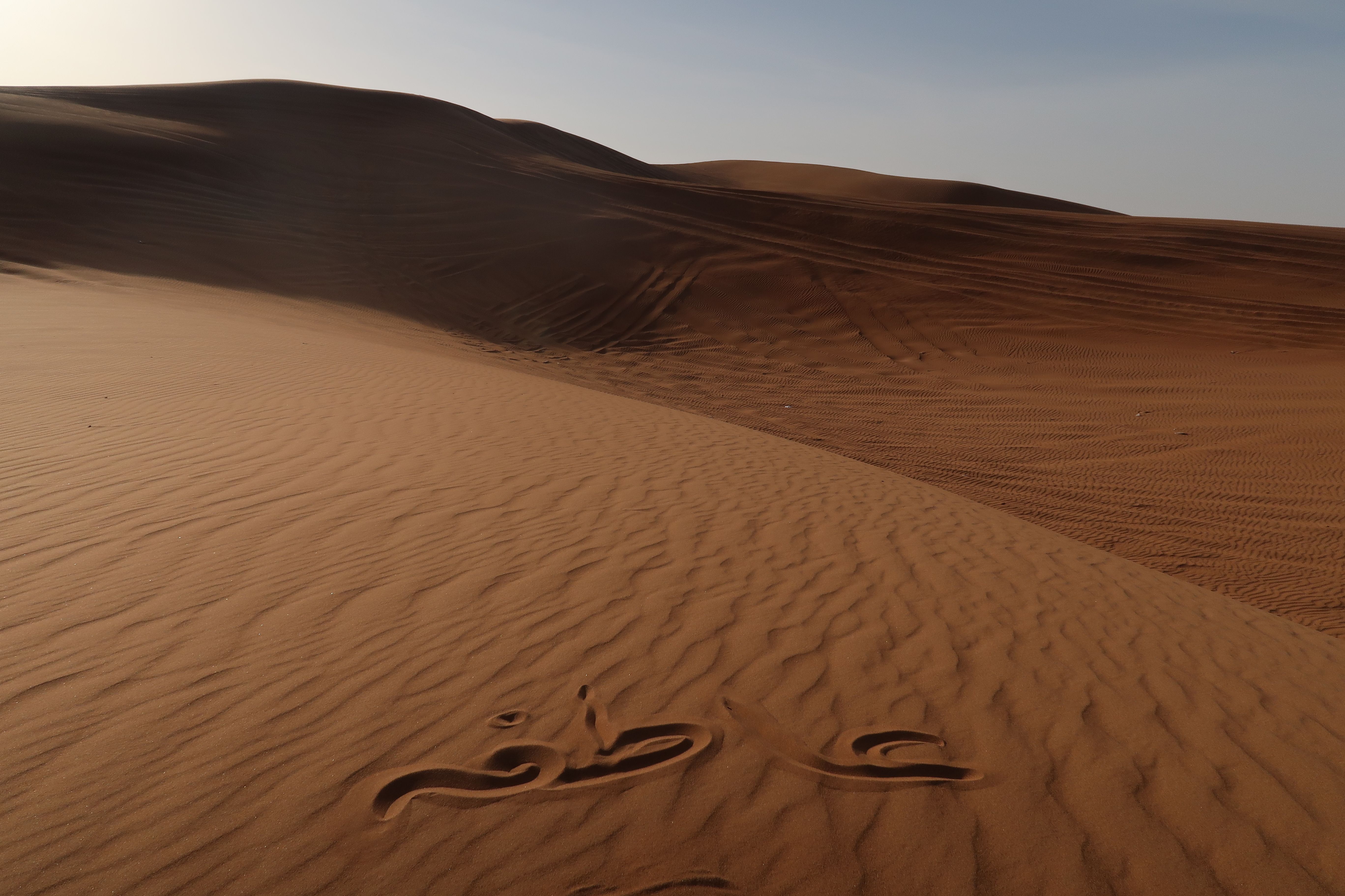 Empty Desert · Free Stock Photo