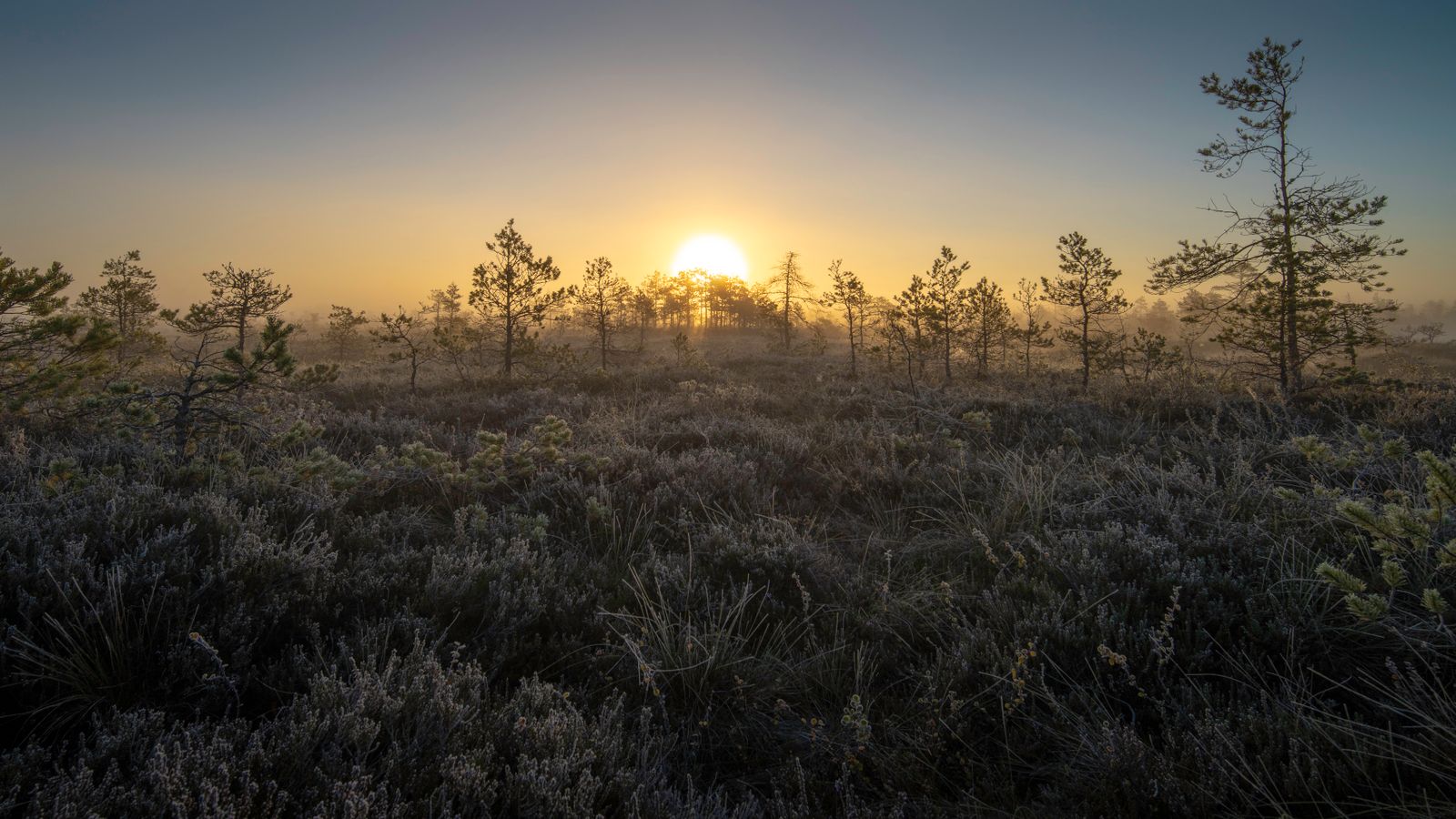 Morning Sunrise Photos, Download The BEST Free Morning Sunrise Stock ...