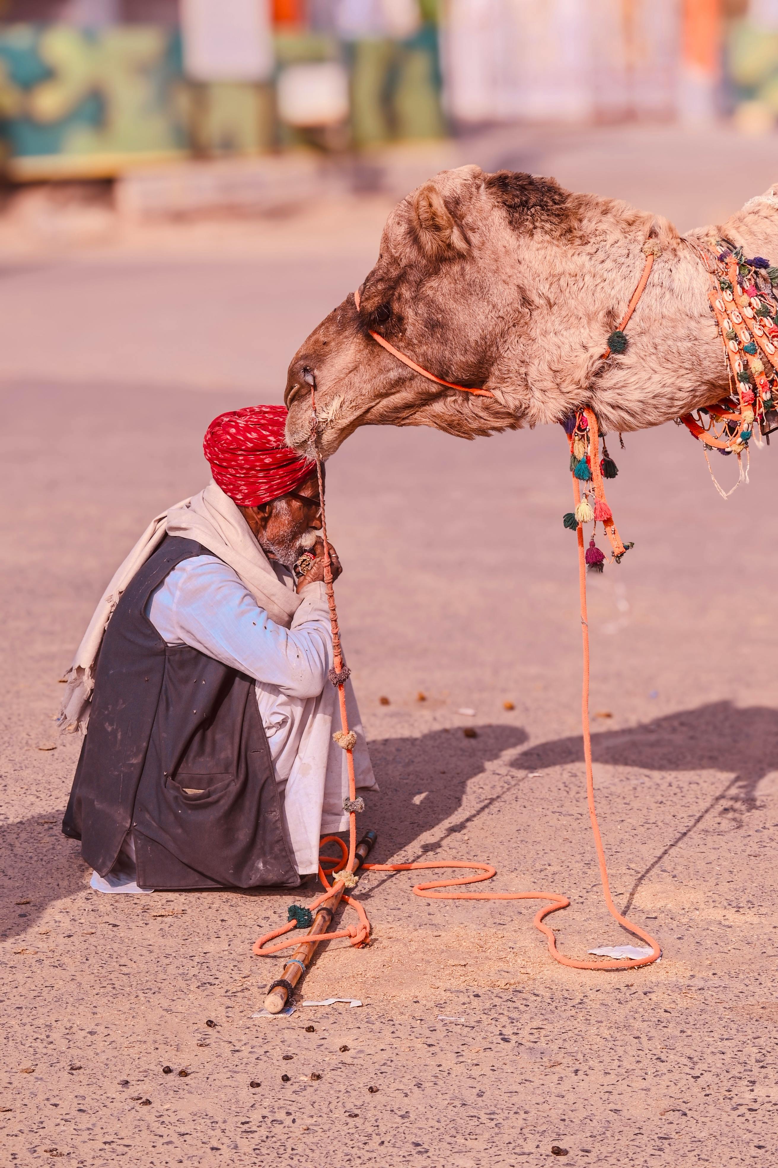 Indian Deserts Photos, Download The BEST Free Indian Deserts Stock ...