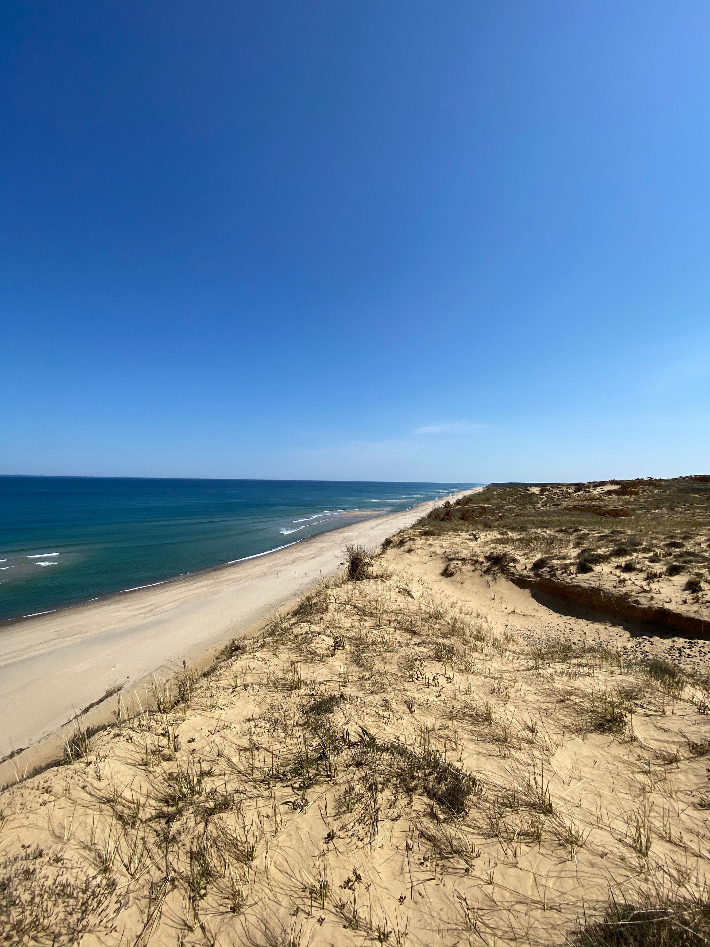 Stunning Cape Cod Beach on a Clear Summer Day · Free Stock Photo