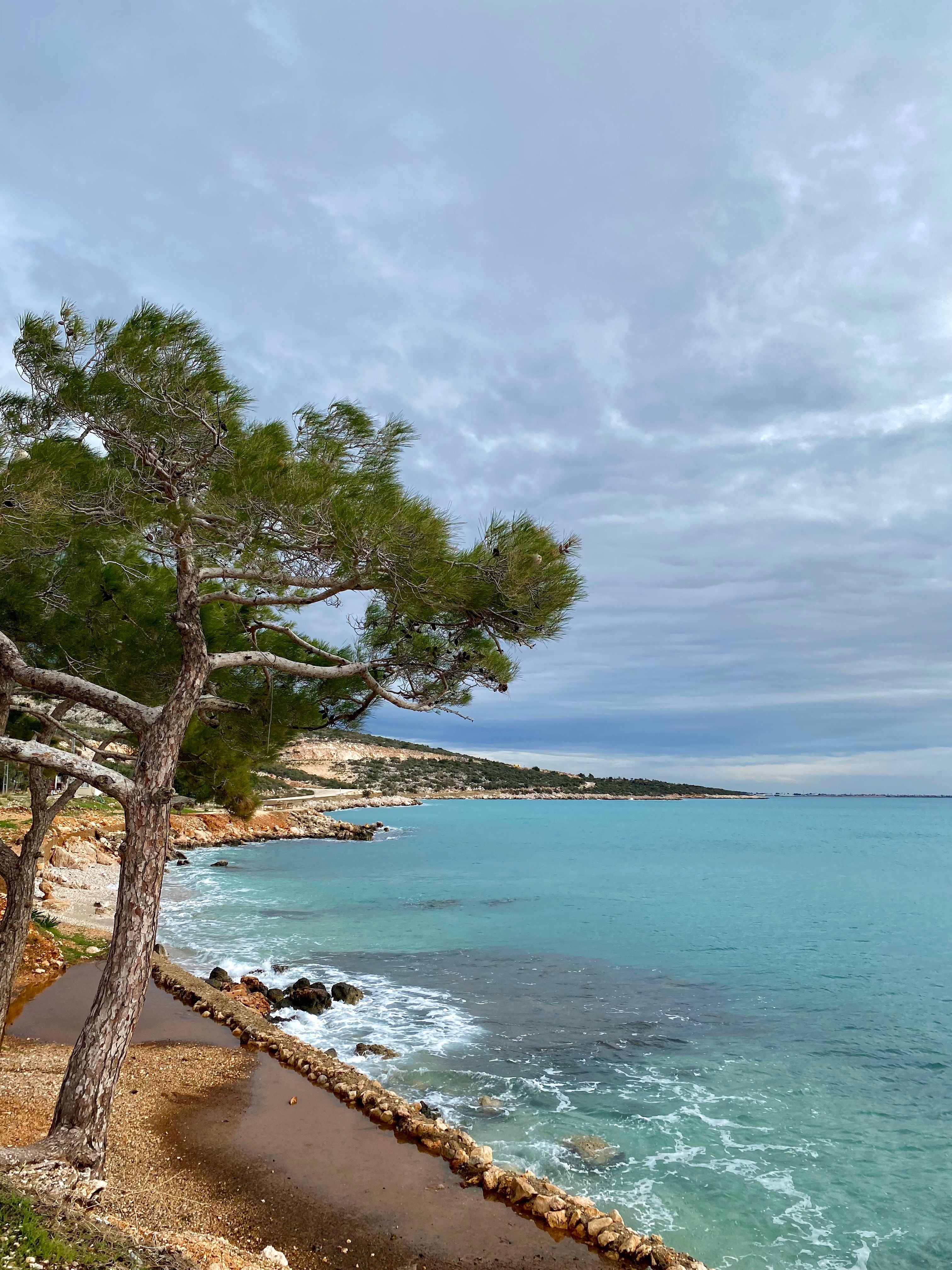 Coastal Mediterranean Landscape