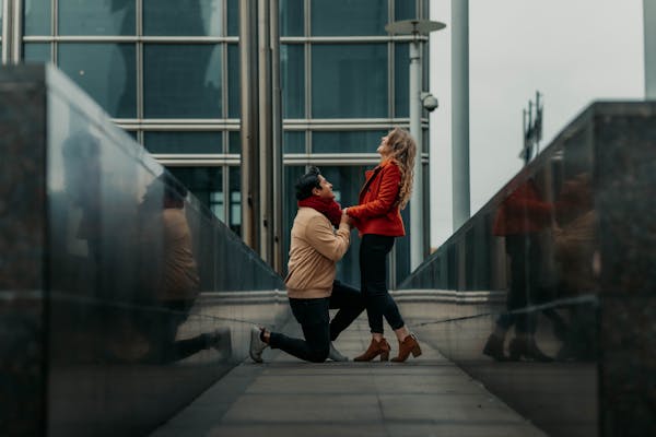 Proposal Photos, Download The BEST Free Proposal Stock Photos & HD Images