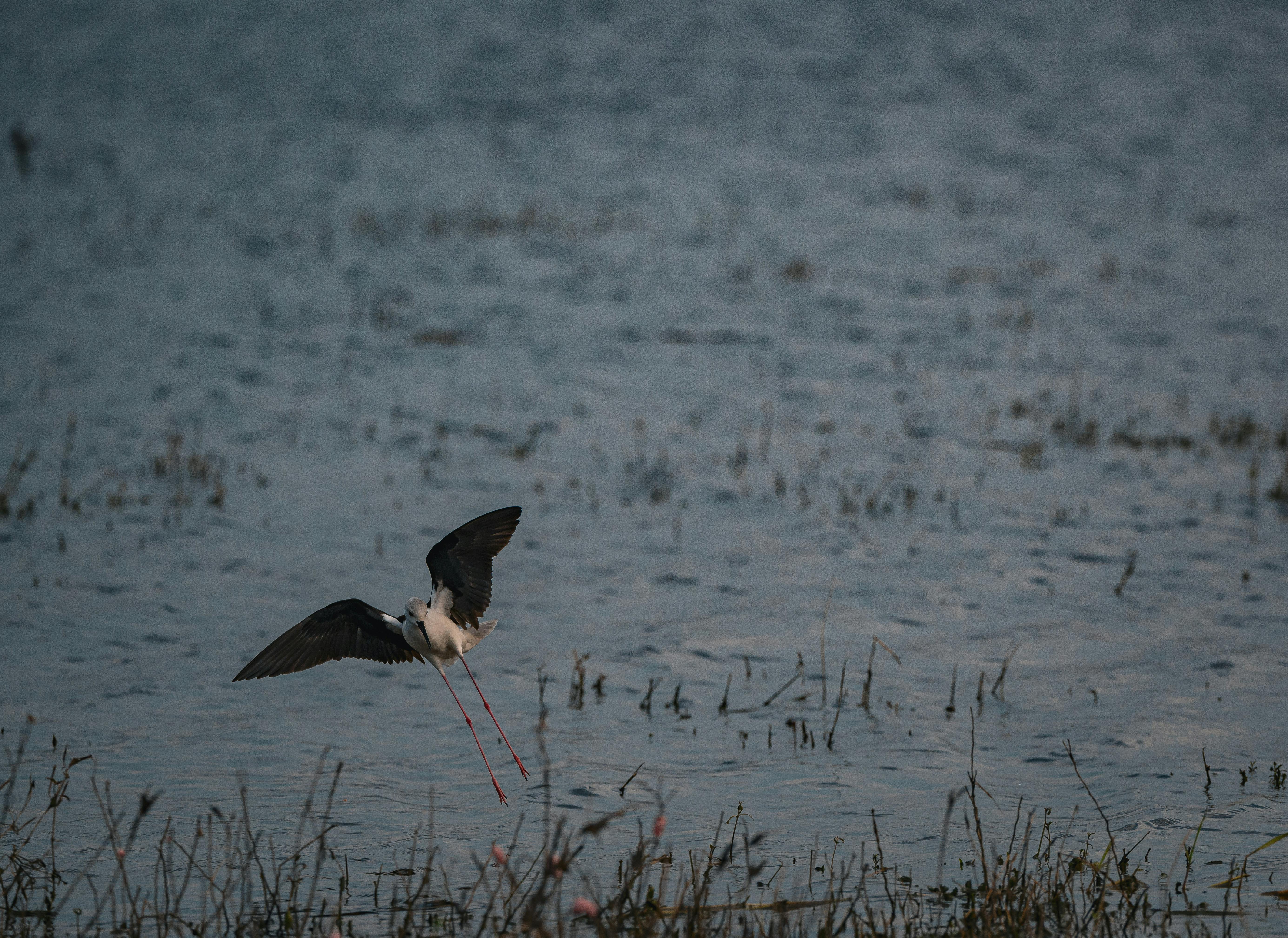 Free Watches Photos, Download The BEST Free Free Watches Stock Photos ...