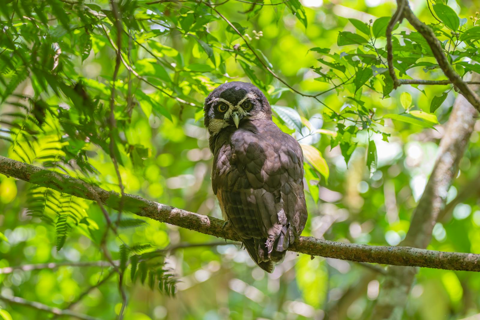 Costa Rica Photos, Download The BEST Free Costa Rica Stock Photos & HD ...