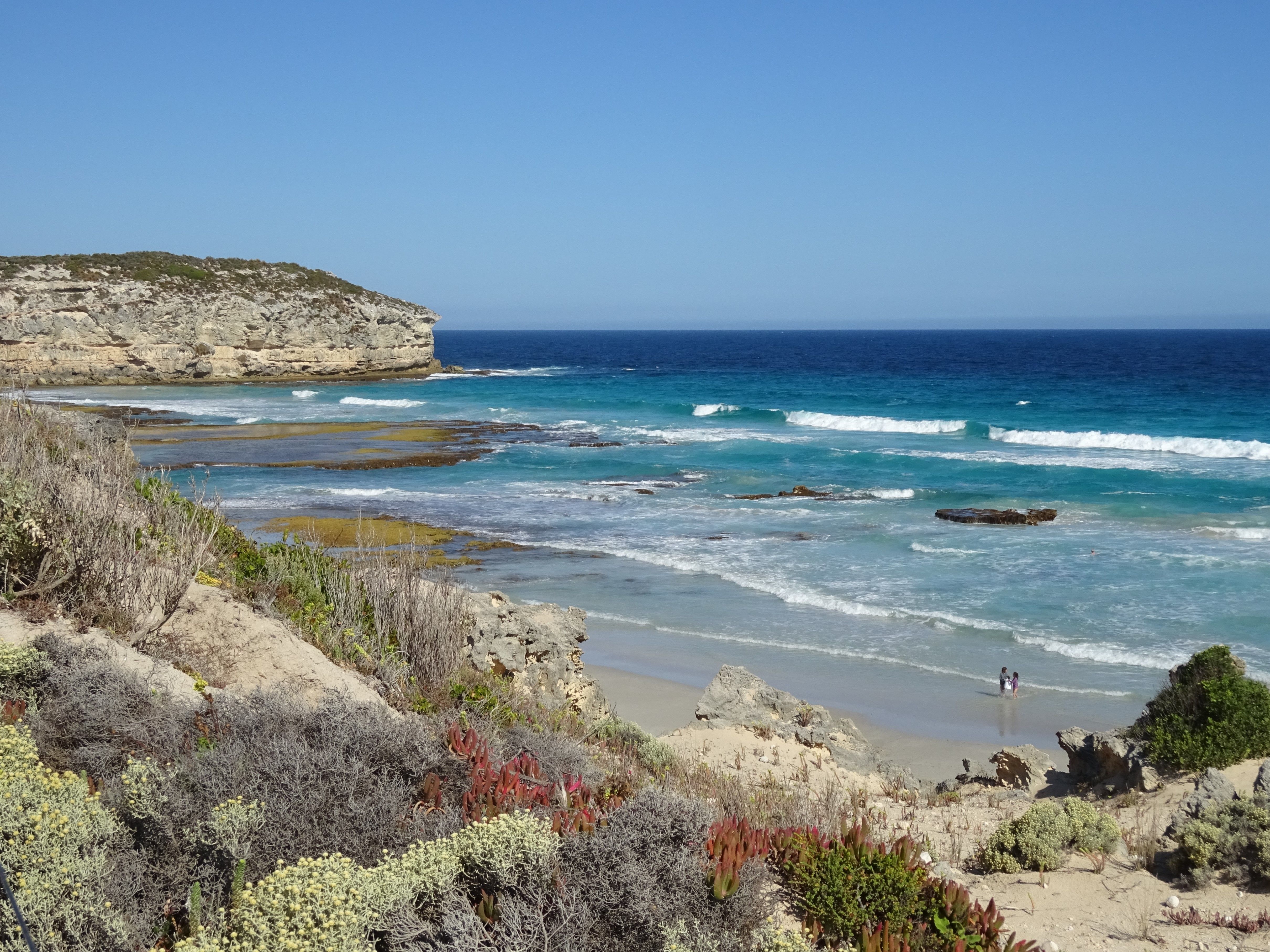 Tranquil Coastal Beach Scene with Clear Blue Waves · Free Stock Photo
