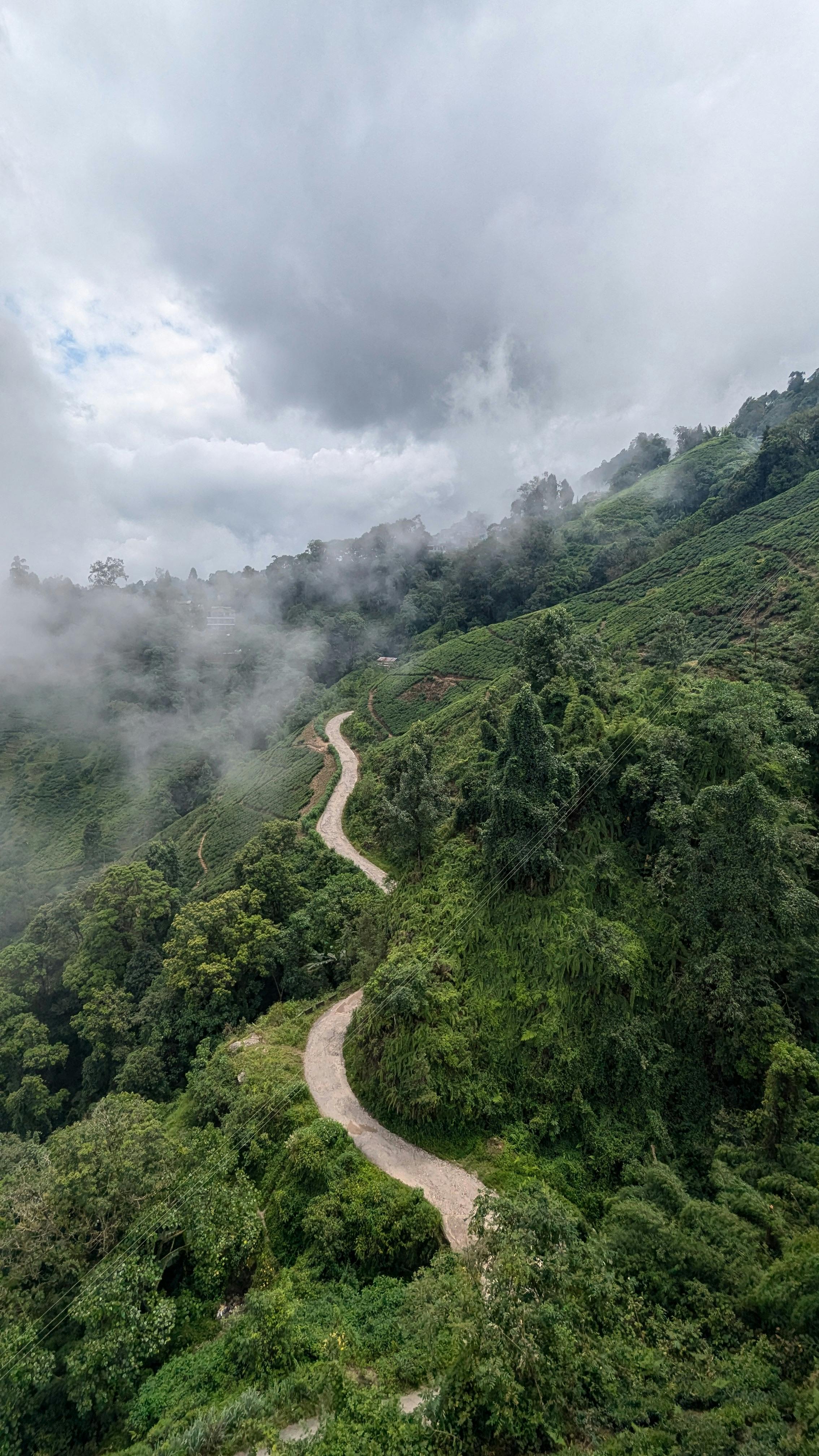 Scenic Mountain Path Lined with Lush Greenery · Free Stock Photo