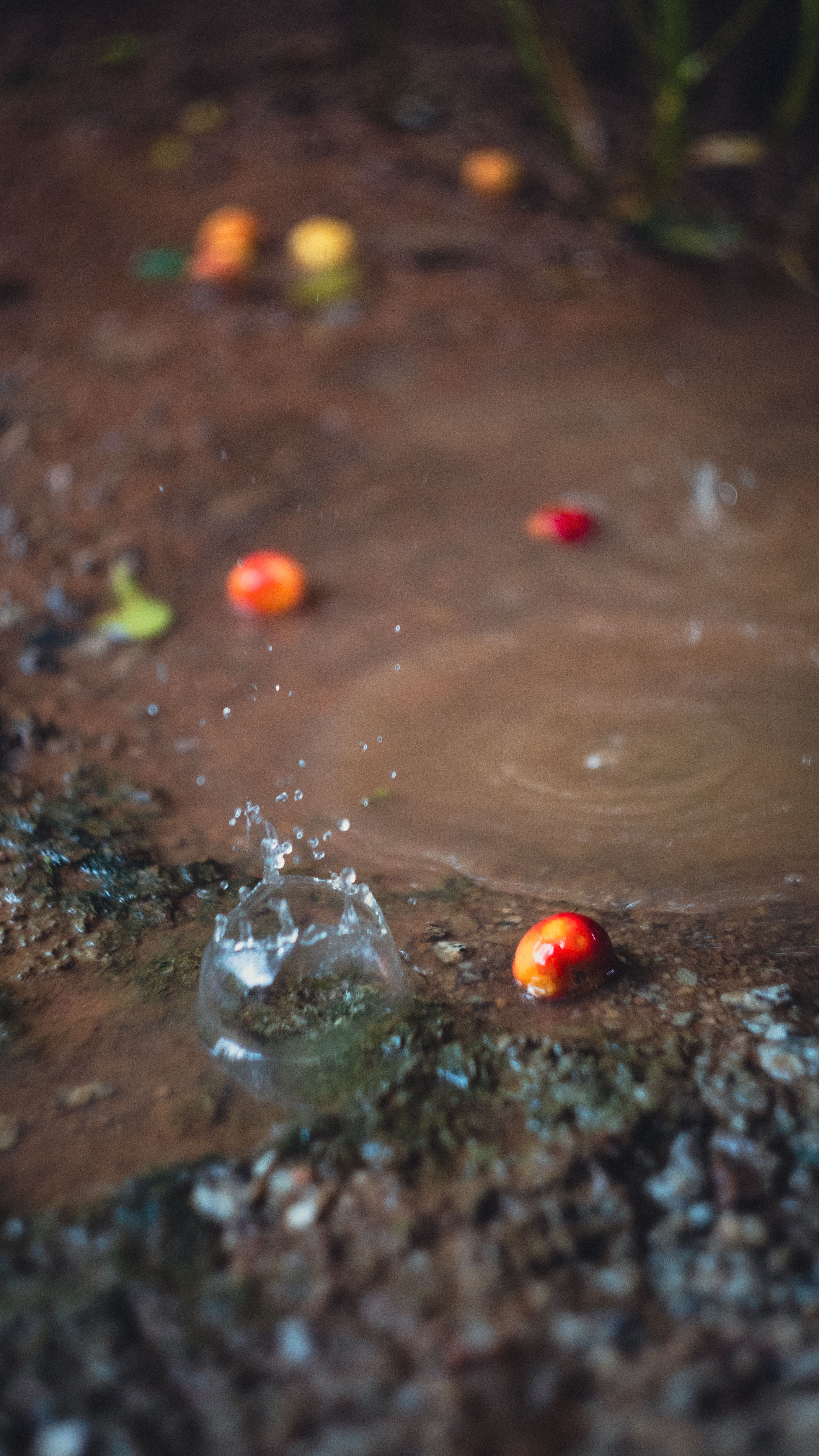 Red Fruit Splash in Rainy Muddy Puddle · Free Stock Photo