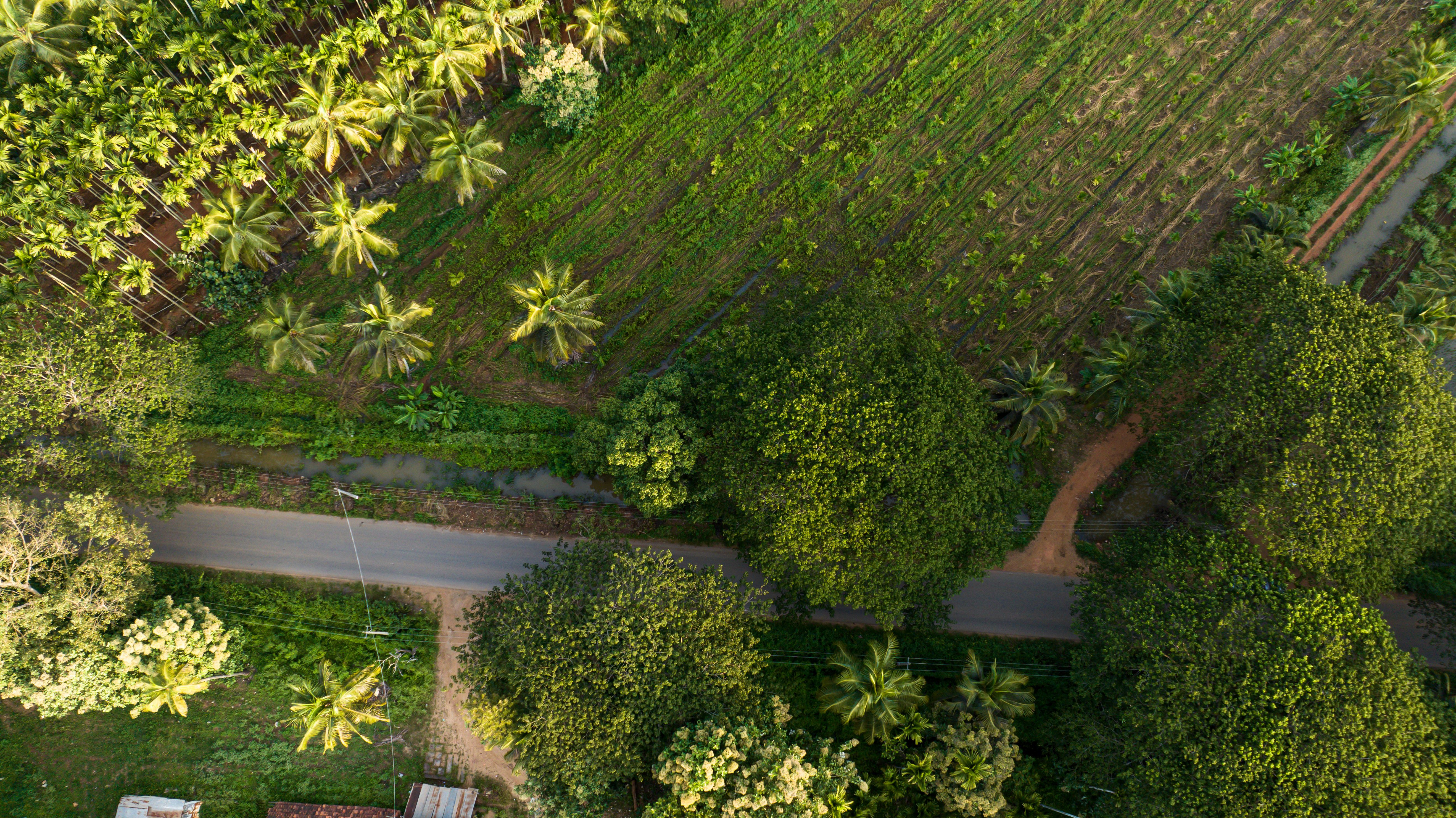 Green Perspective Photos, Download The BEST Free Green Perspective ...