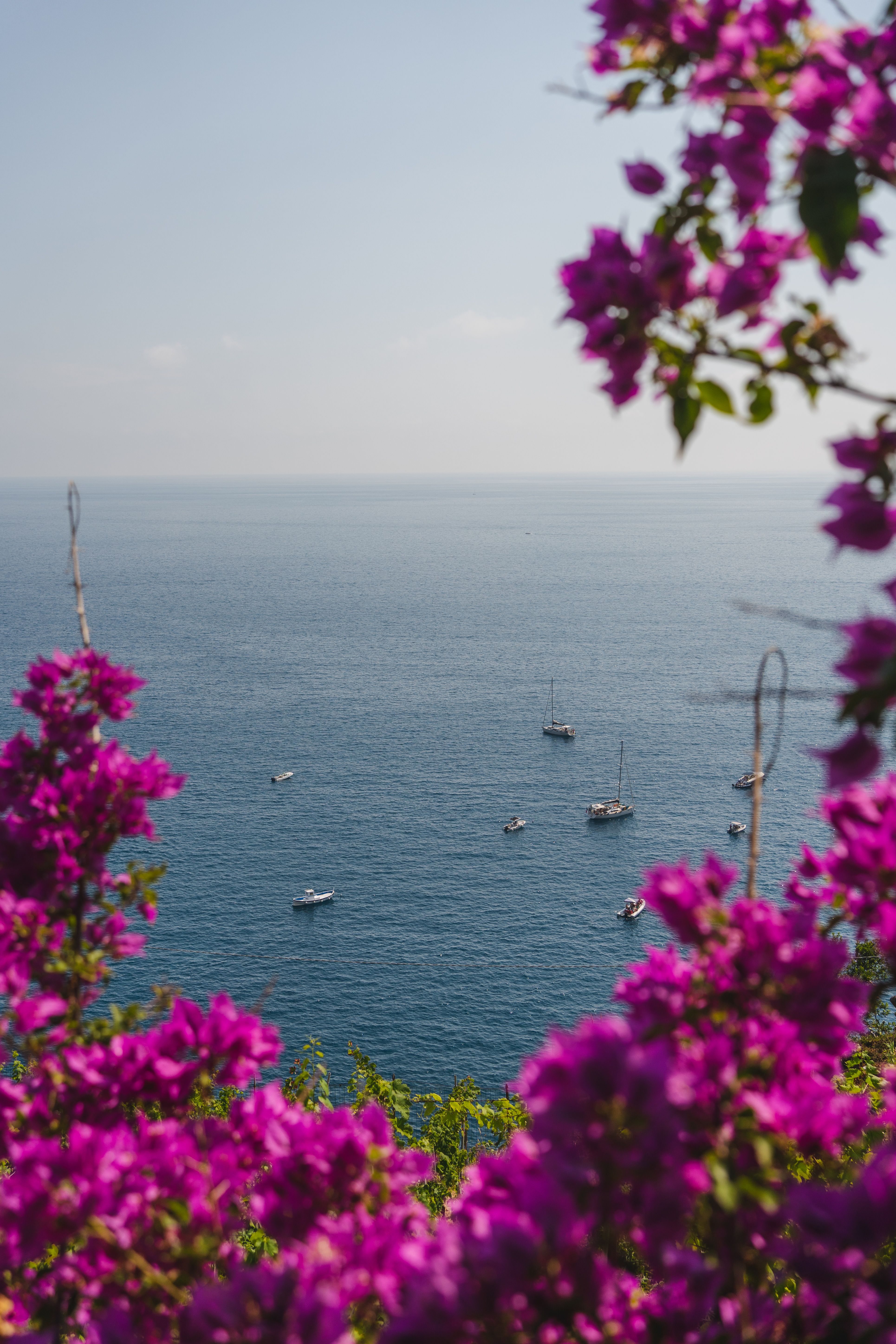 Scenic Mediterranean Sea View with Bougainvillea · Free Stock Photo