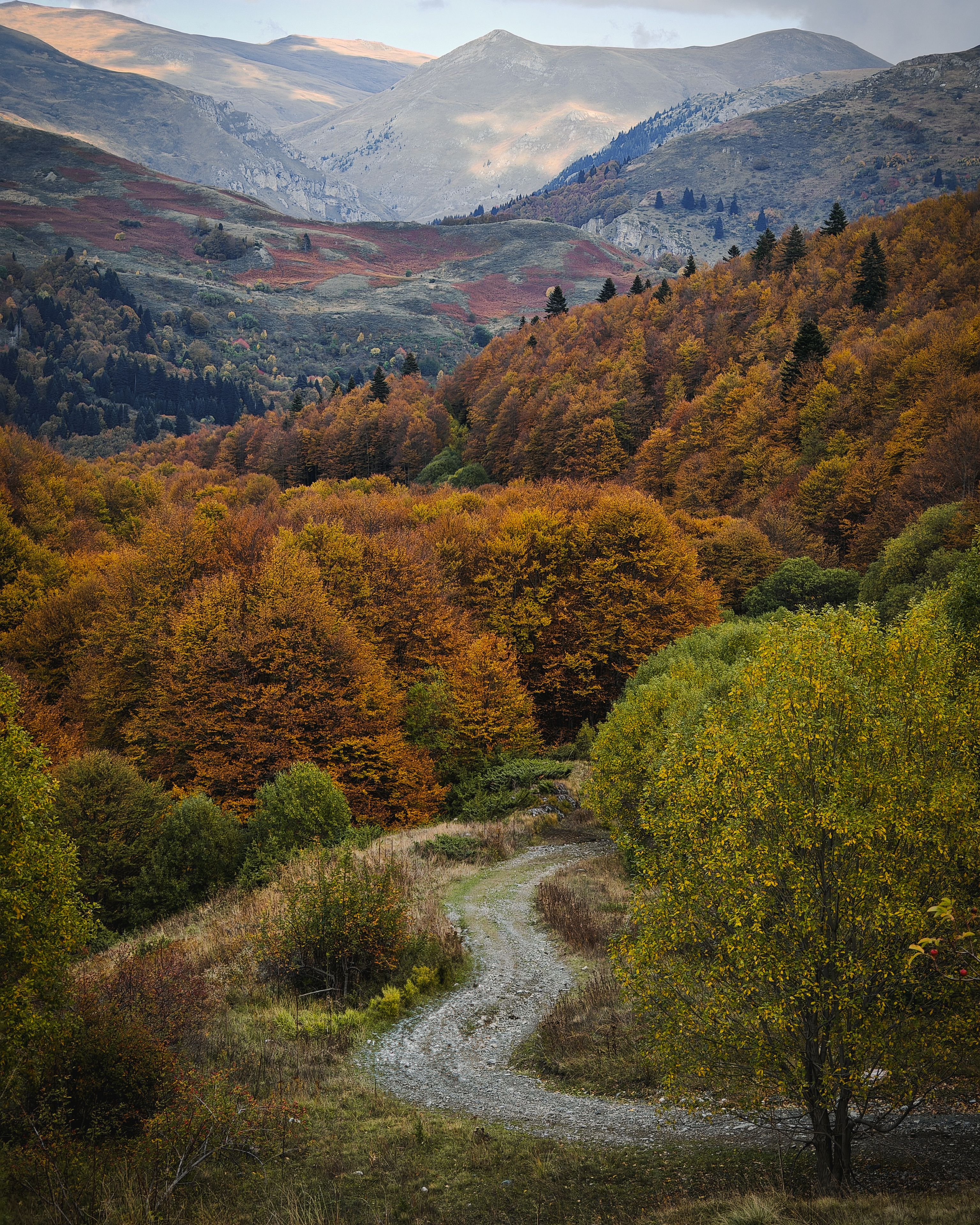 Tryx+Panorama+Gifs Photos, Download The BEST Free Tryx+Panorama+Gifs ...
