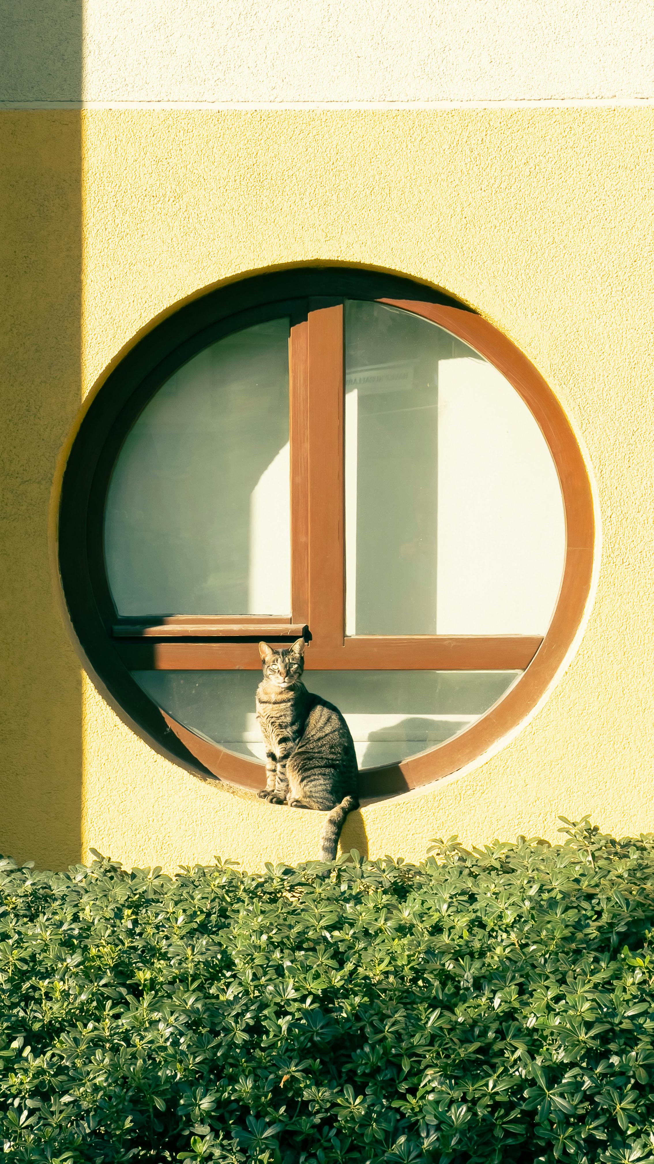 Round Window Photos, Download The BEST Free Round Window Stock Photos ...