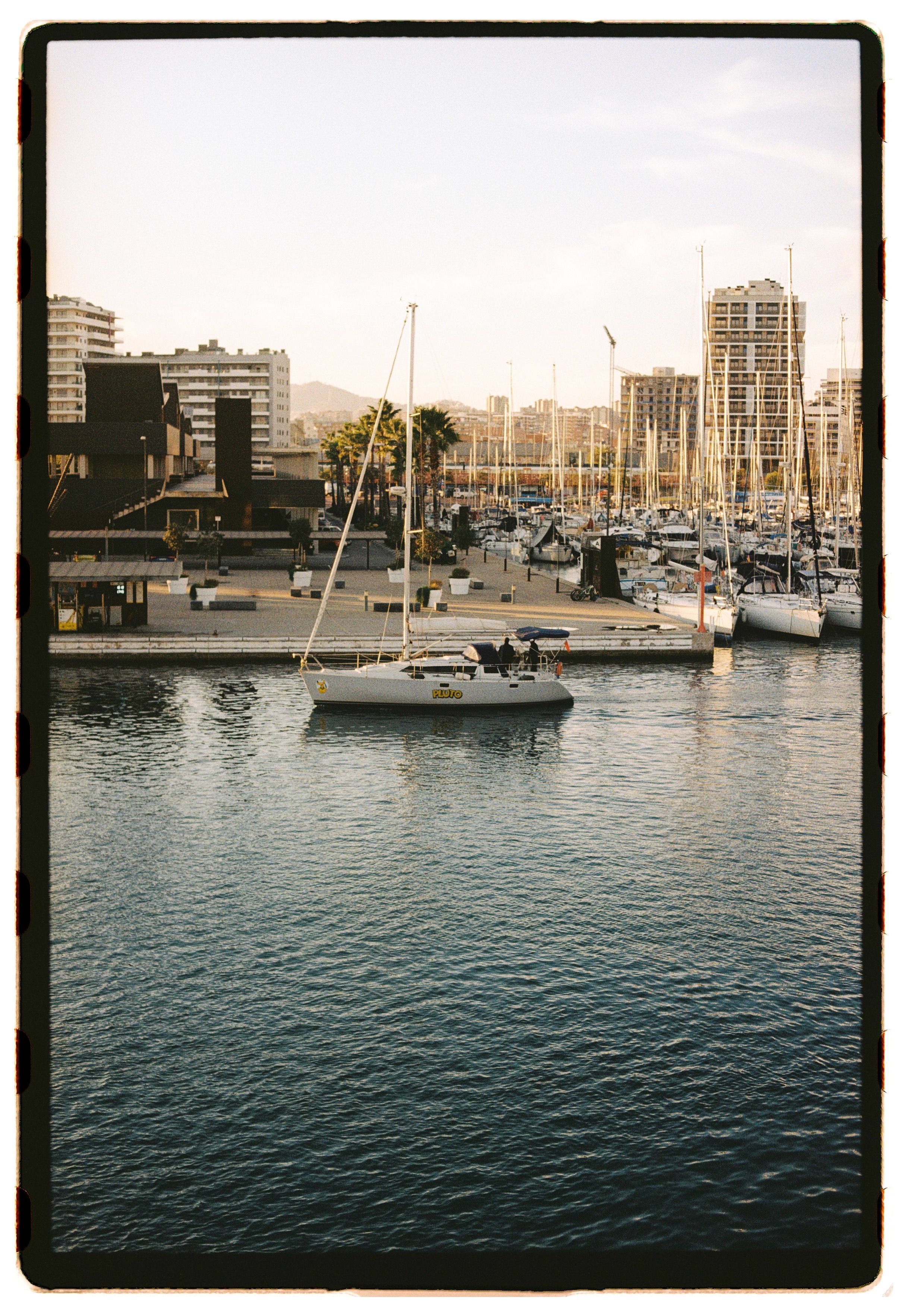 Scenic Marina View with Sailboats and Modern Buildings · Free Stock Photo