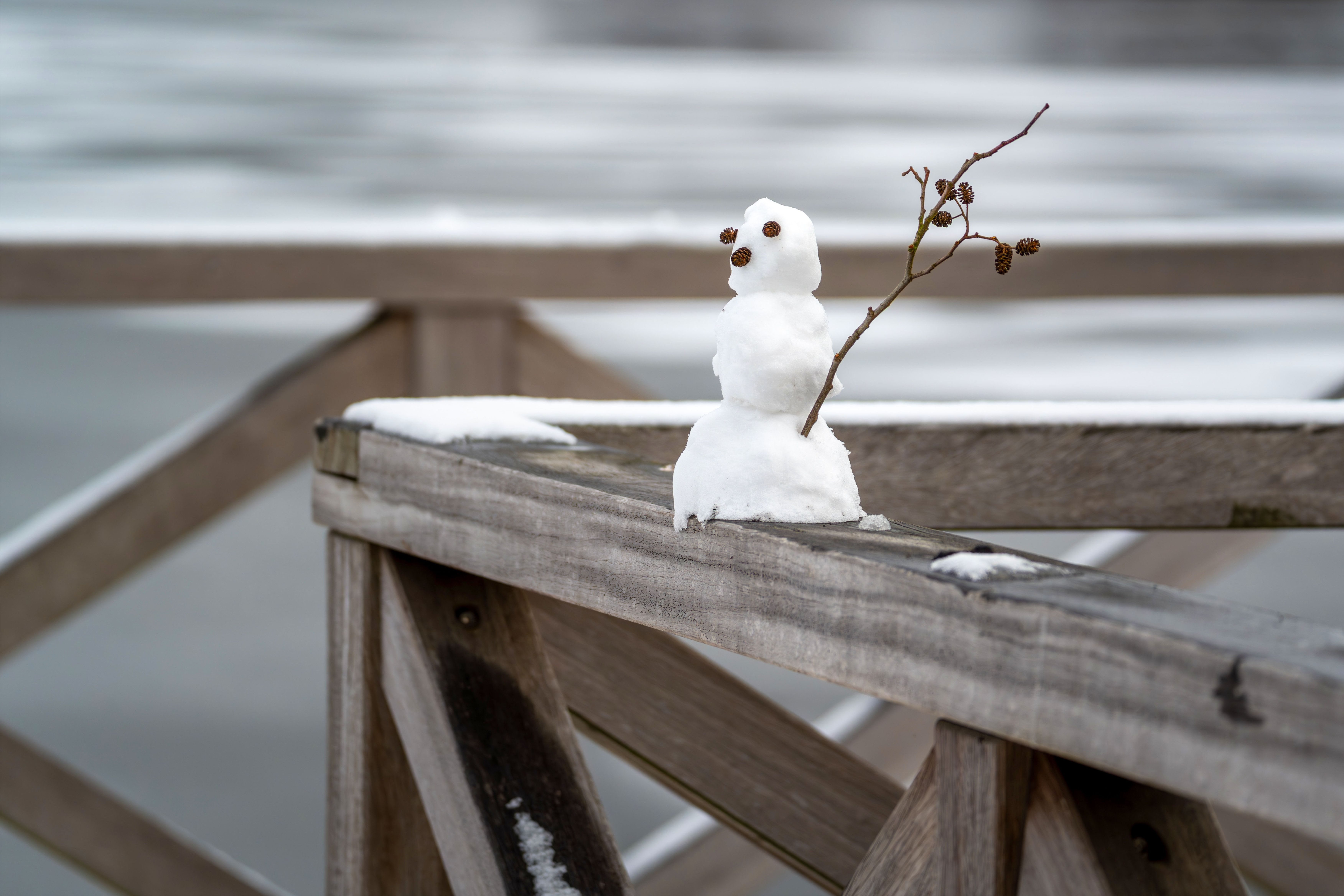 Outside Hut Photos, Download The BEST Free Outside Hut Stock Photos ...