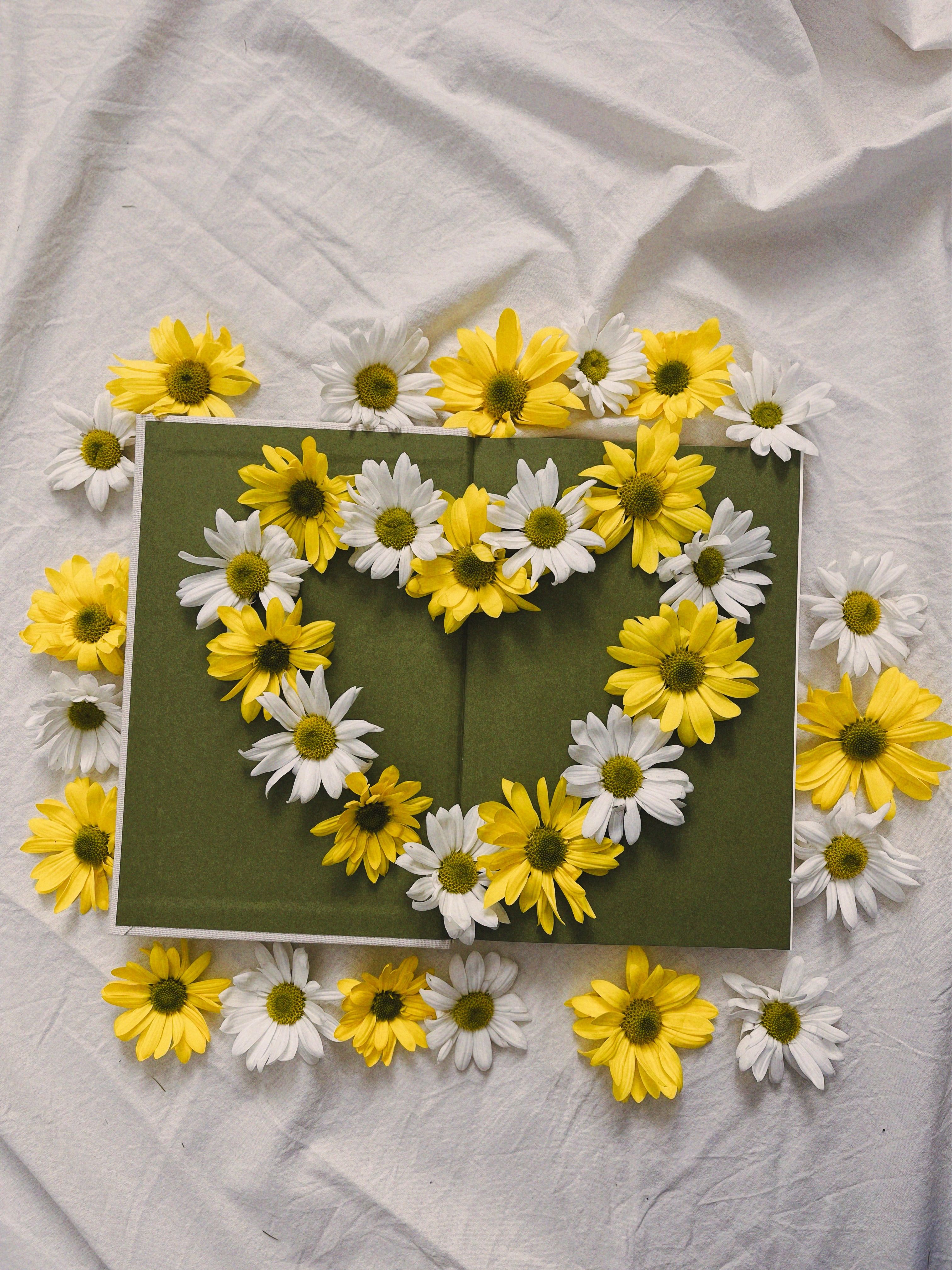 Heart-Shaped Flower Arrangement on Open Book · Free Stock Photo
