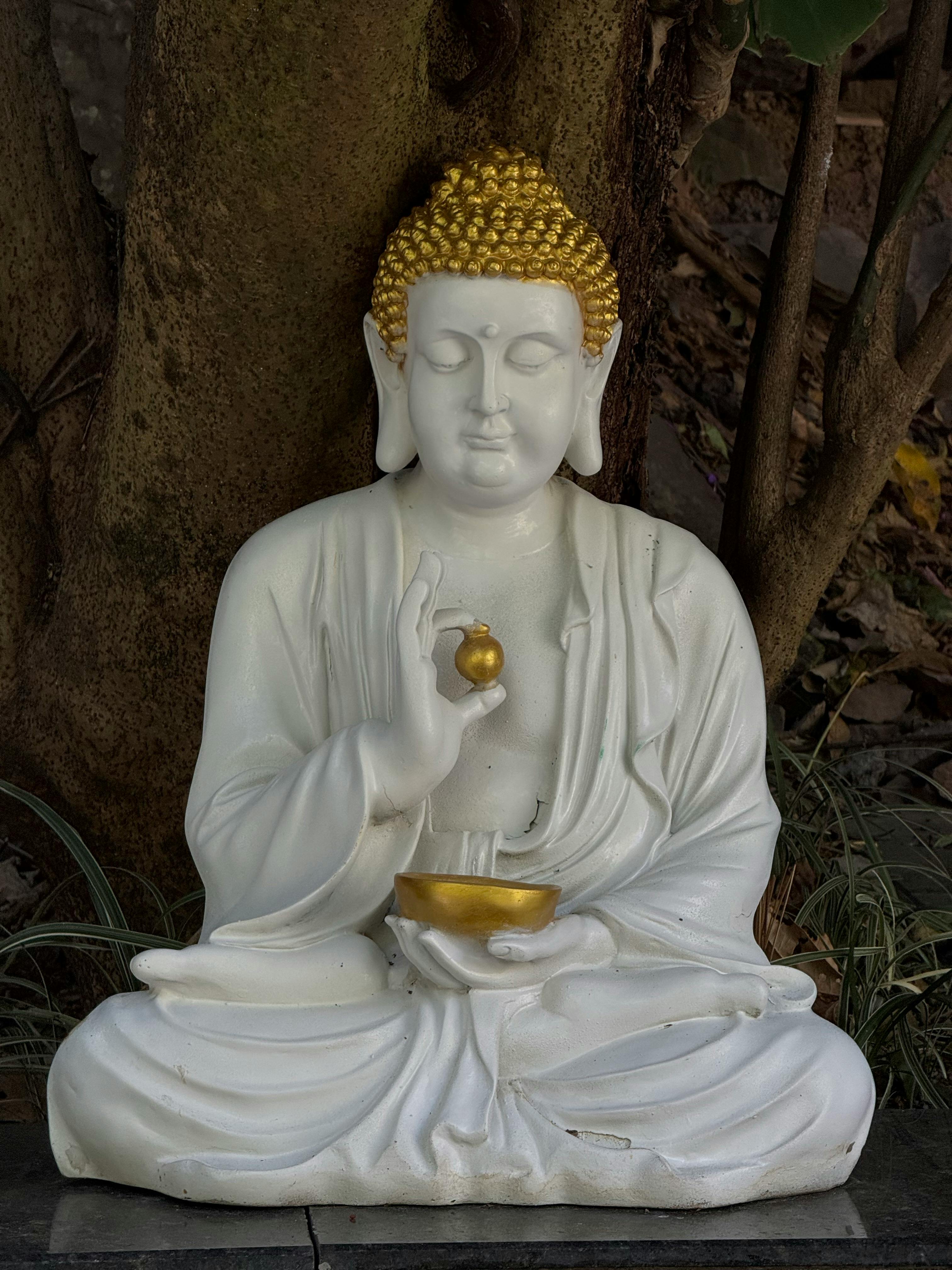 Serene Buddha Statue in Chandigarh Garden · Free Stock Photo