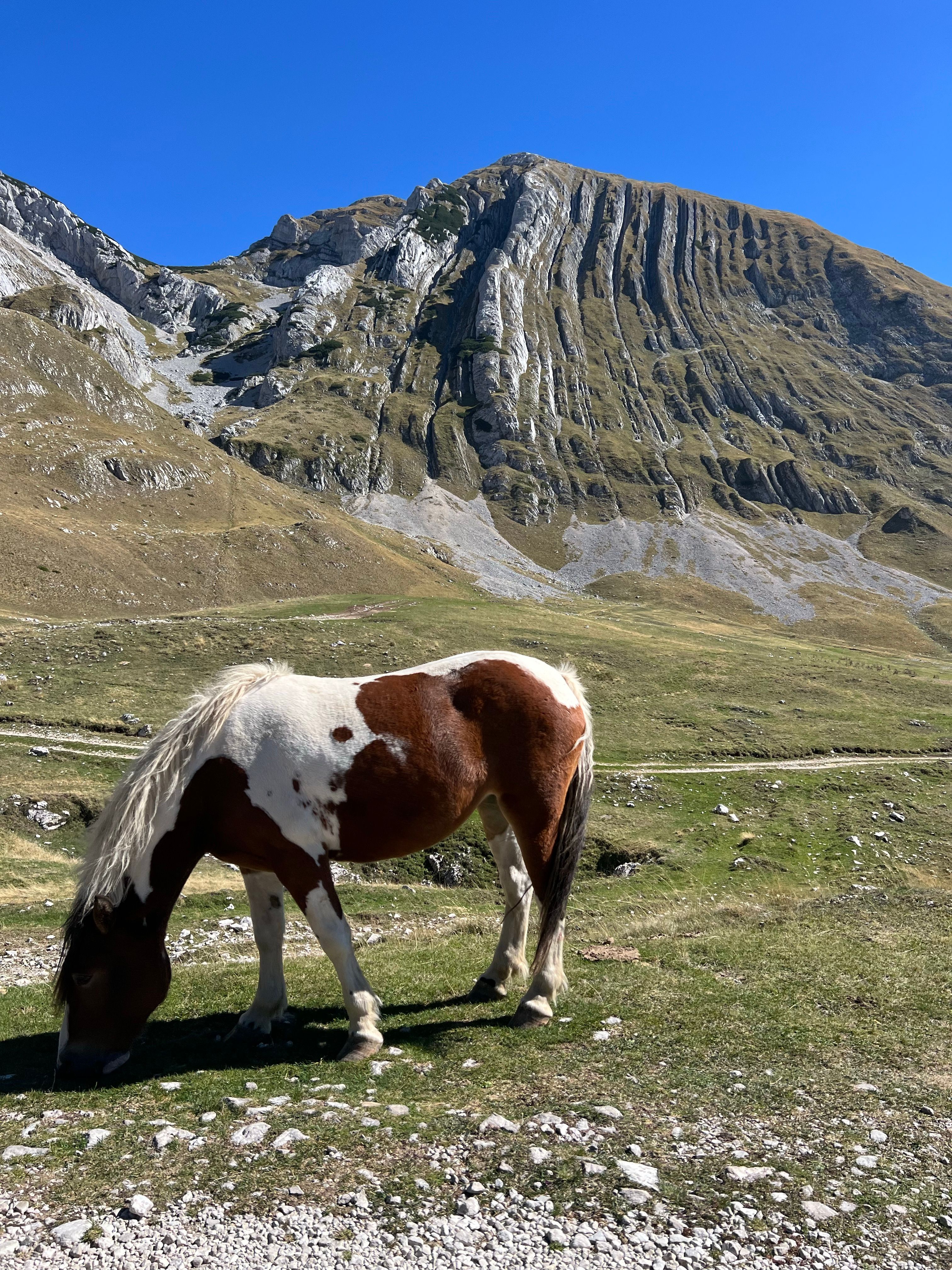 Gran Sasso Photos, Download The BEST Free Gran Sasso Stock Photos & HD ...