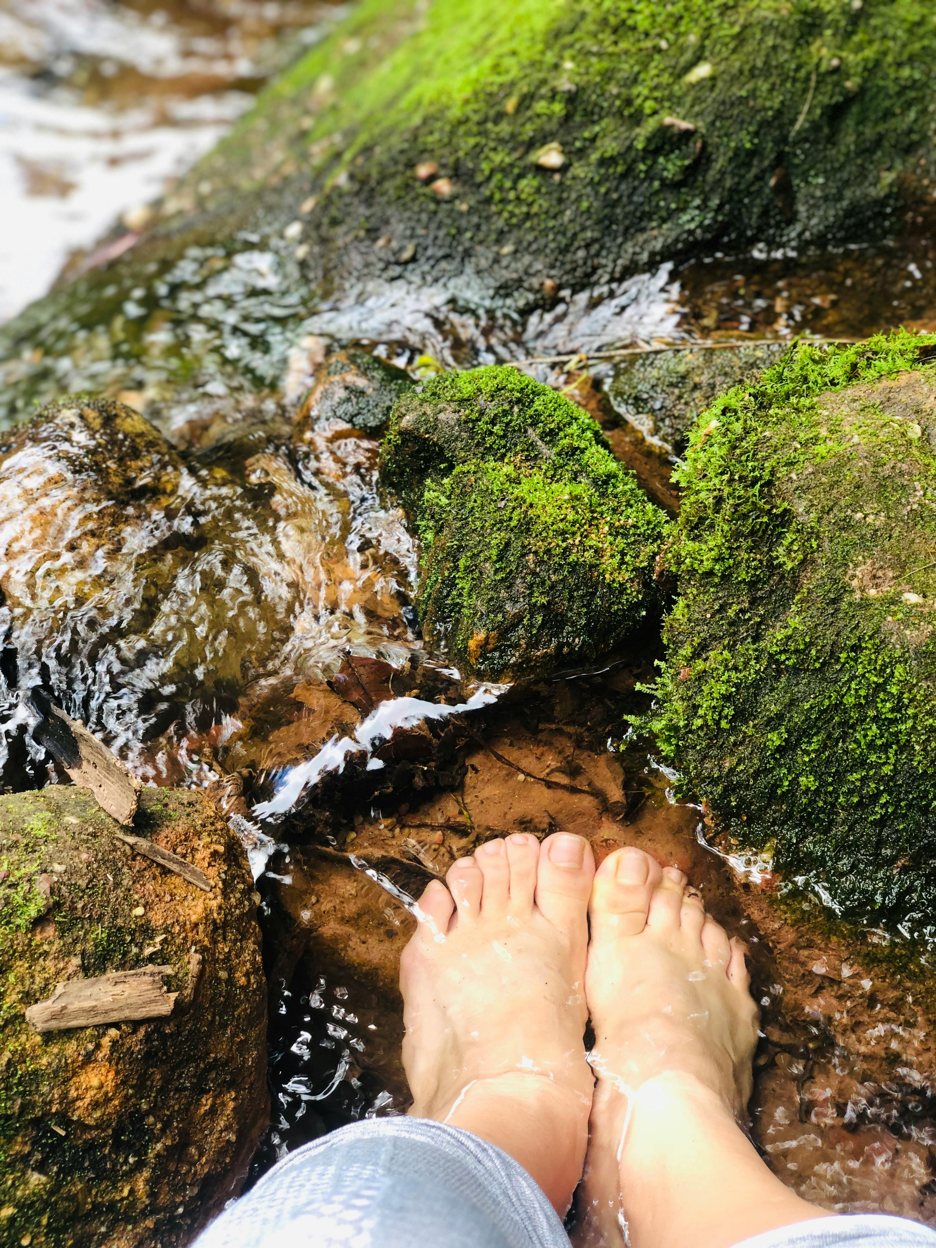 Foot Immersion Photos, Download The BEST Free Foot Immersion Stock ...