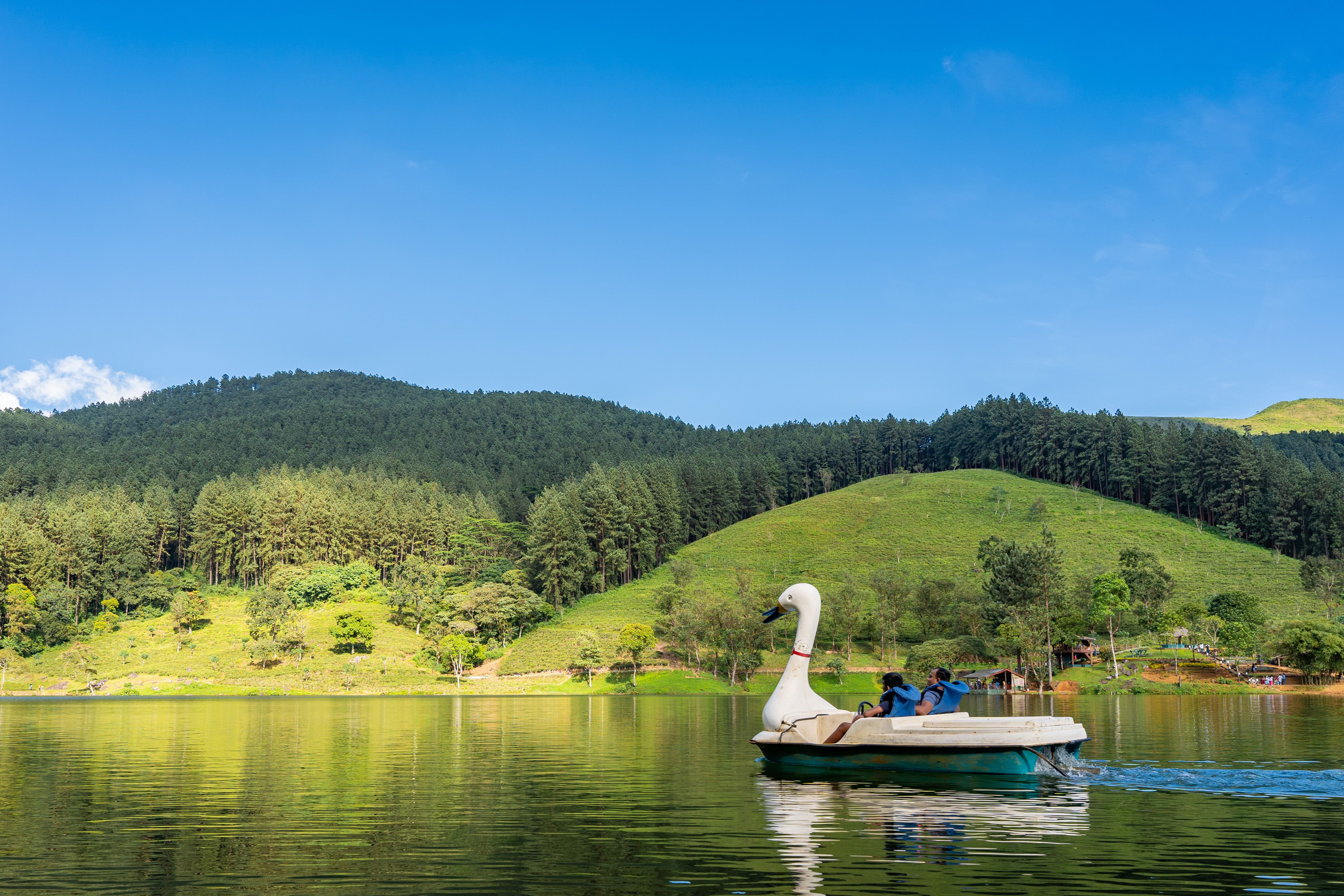 Naik Perahu Angsa Di Danau Indah Dengan Pemandangan Hutan · Foto Stok ...