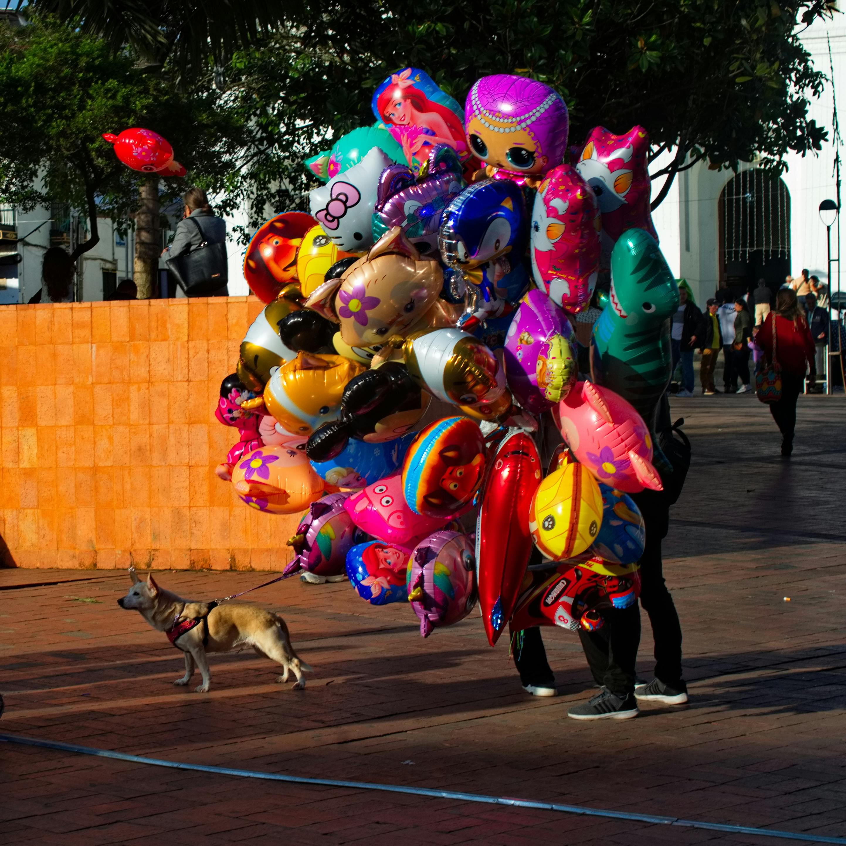 Foto+Ru Photos, Download The BEST Free Foto+Ru Stock Photos & HD Images