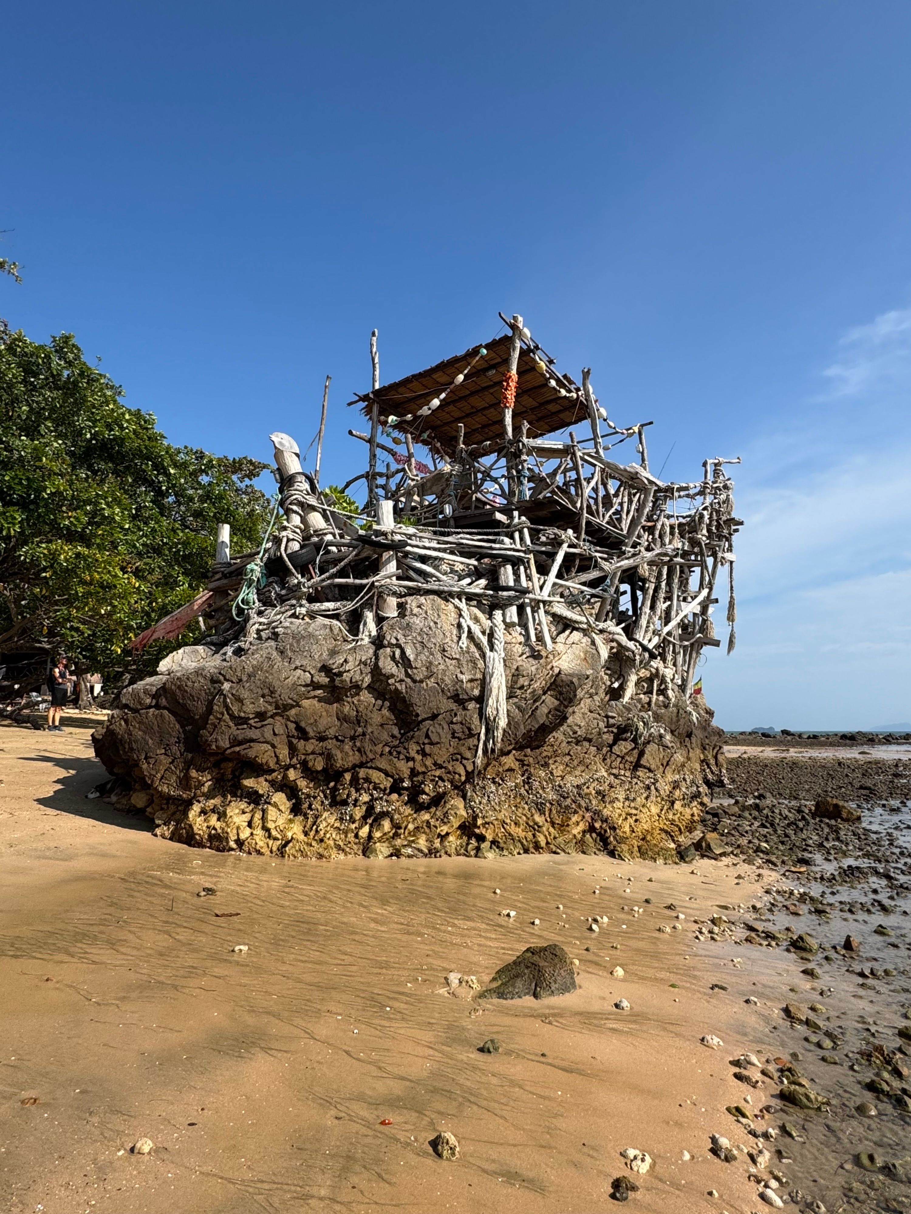 Rustic Driftwood Hut on Remote Beach · Free Stock Photo